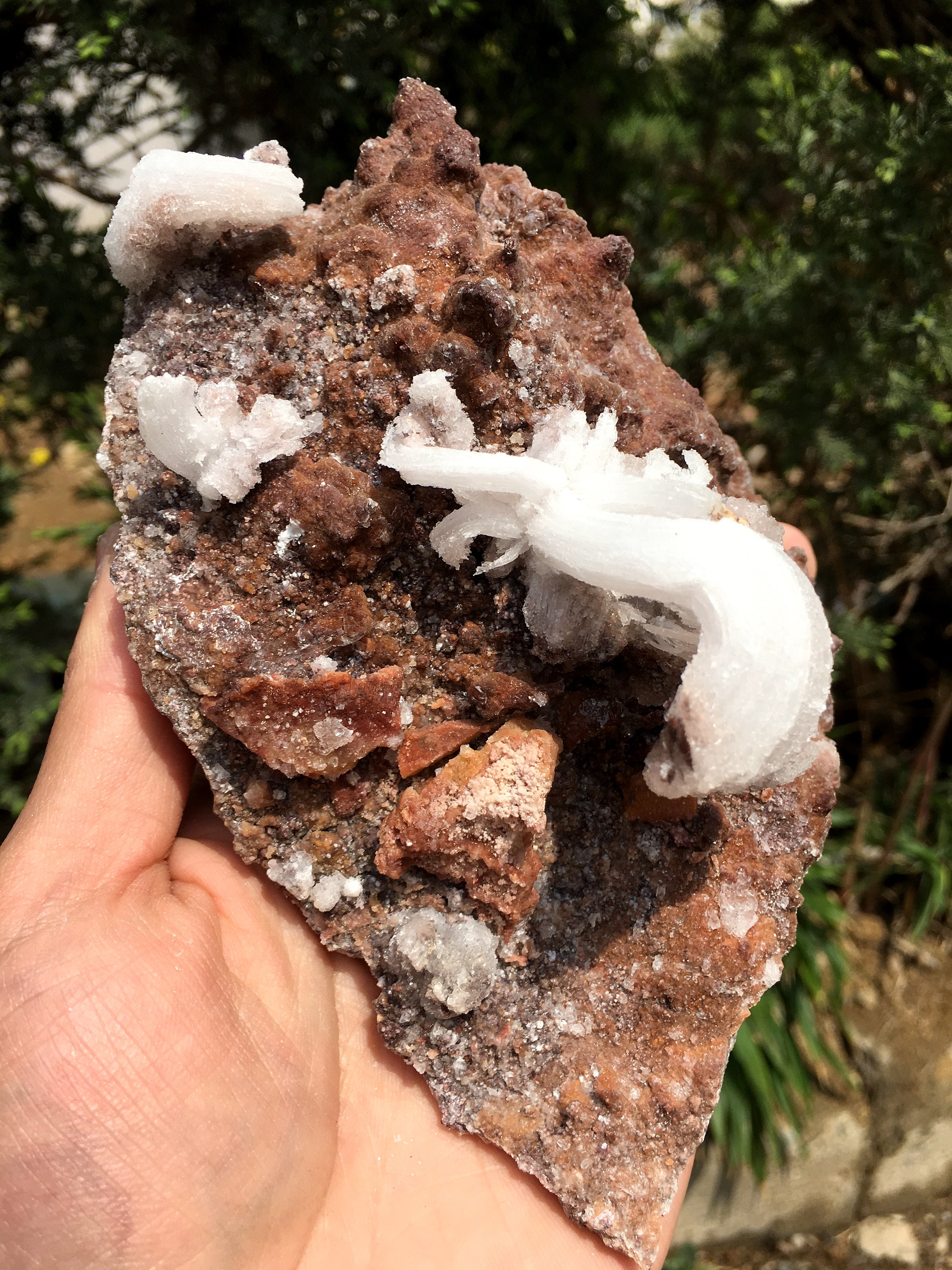 Natural Large Gypsum Selenite on Matrix/gypsum Cluster/gypsum | Etsy
