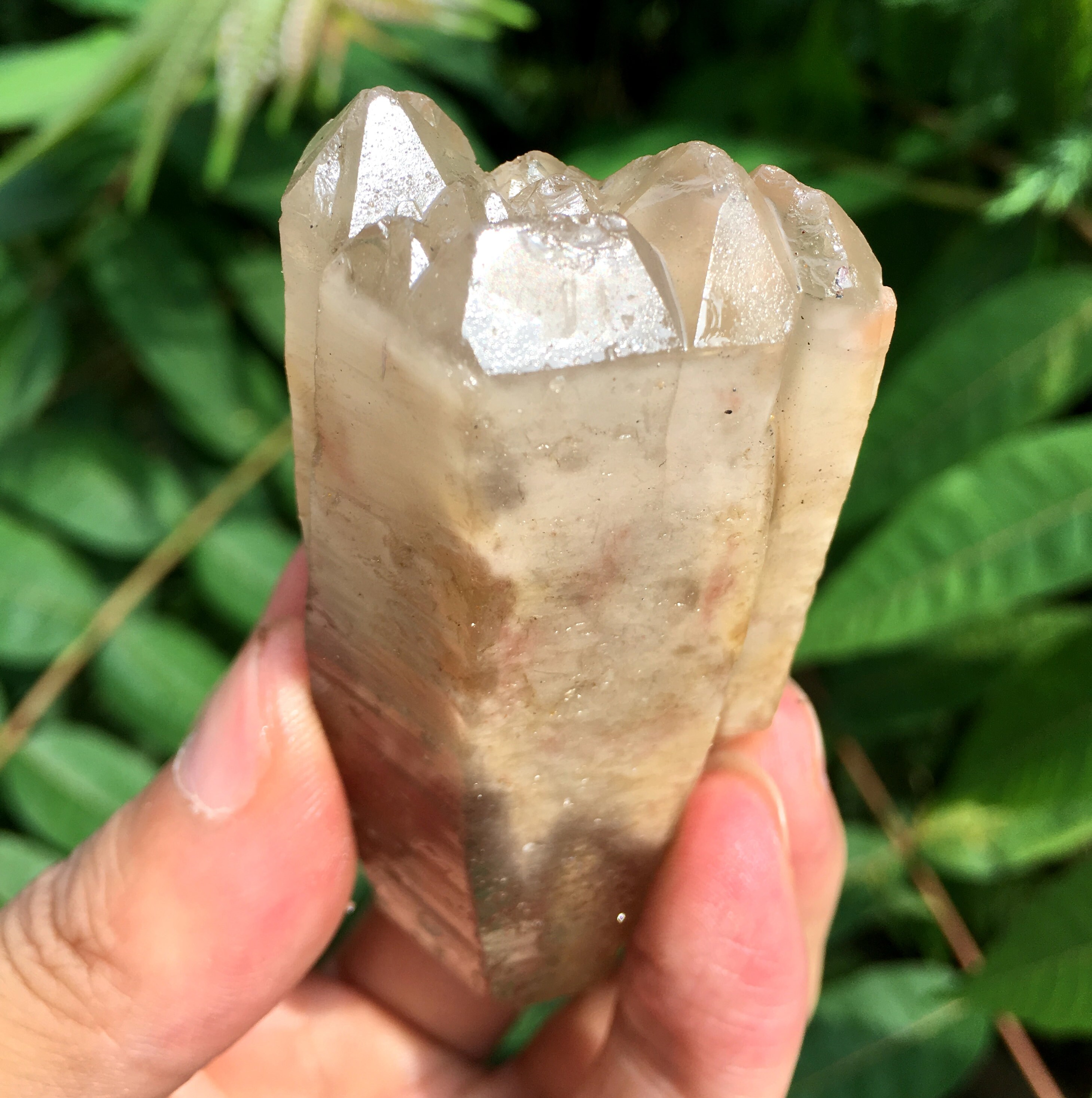 Natural Raw Himalayan Family Crystal Quartz Point/White | Etsy