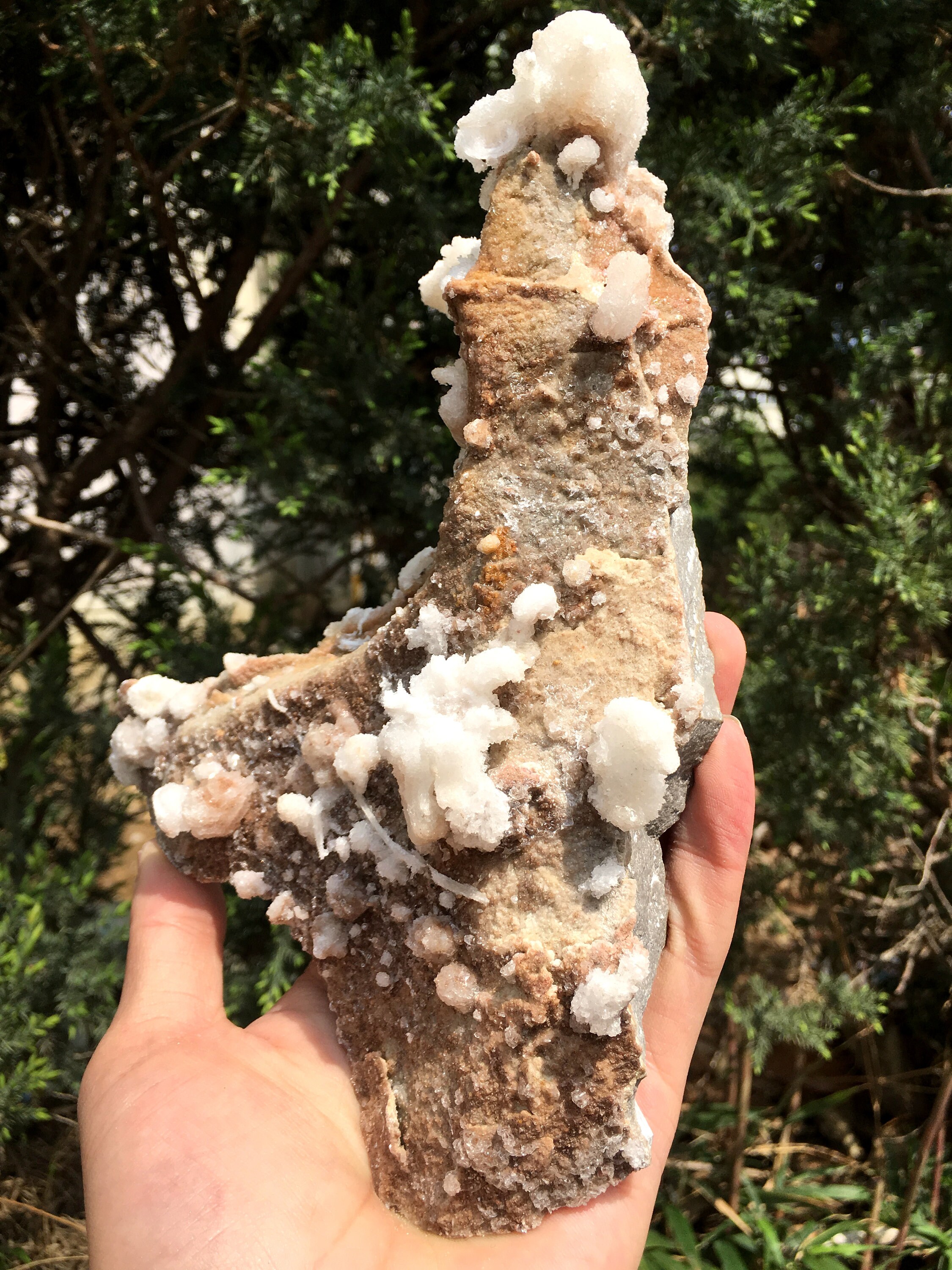 Natural large gypsum selenite on matrix/gypsum cluster/gypsum | Etsy