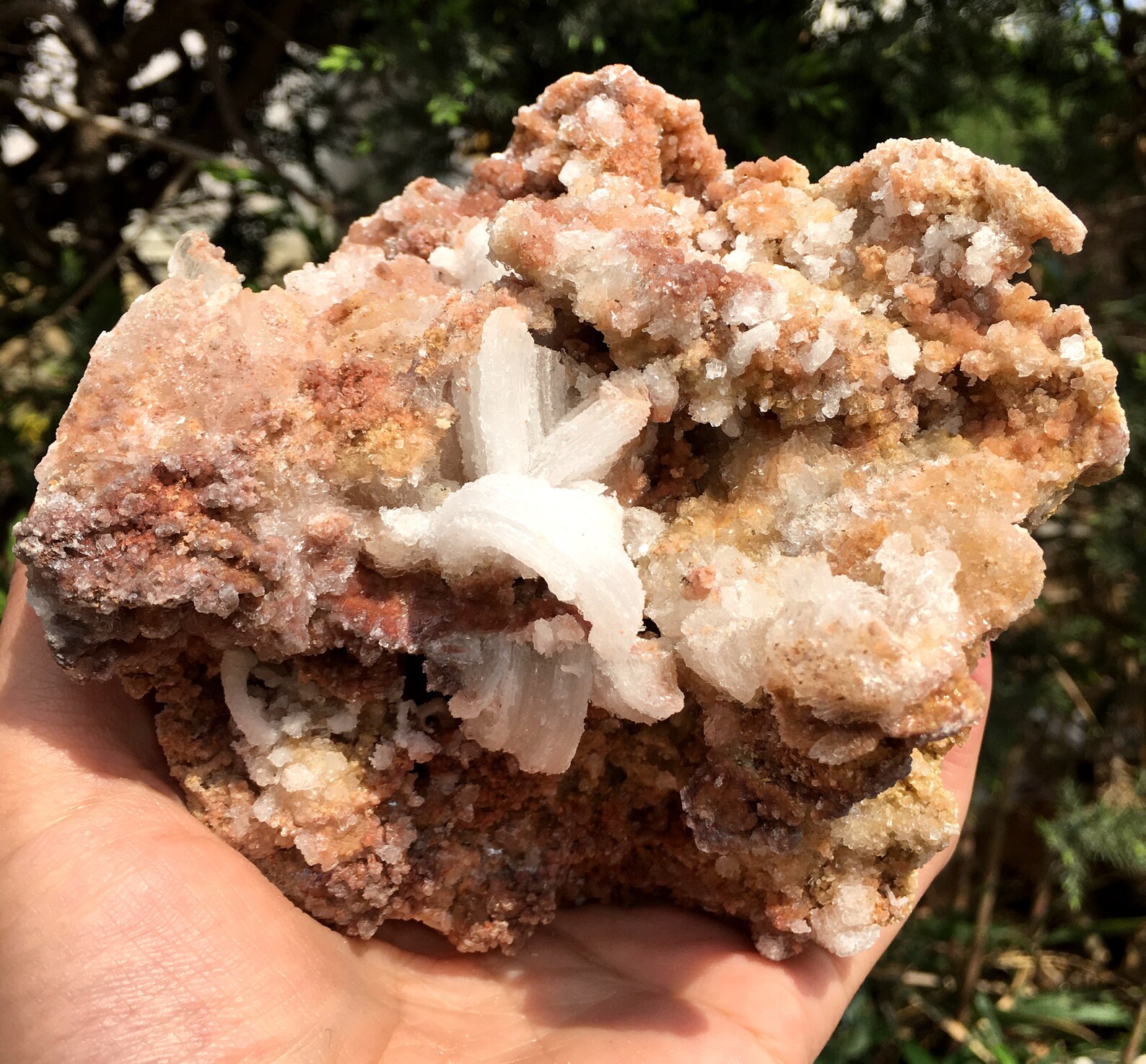 Natural Large Gypsum Selenite on Matrix/gypsum Cluster/gypsum - Etsy
