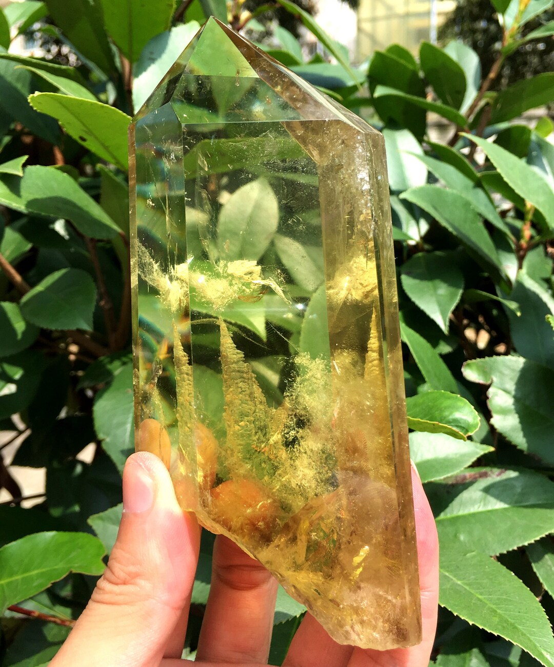 Natural Large Transparent Headed Yellow Citrine Crystal Quartz Point ...