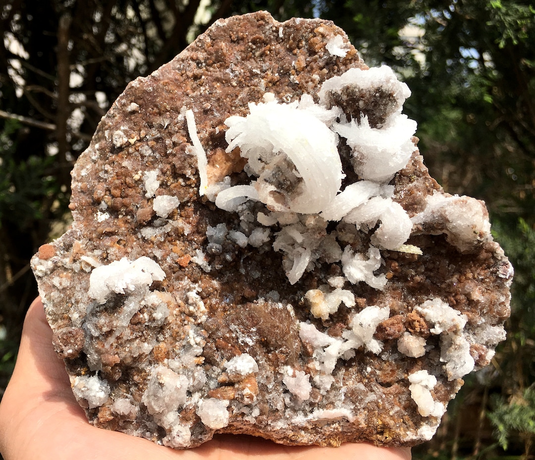 Natural Large Gypsum Selenite on Matrix/gypsum Cluster/gypsum Specimen ...