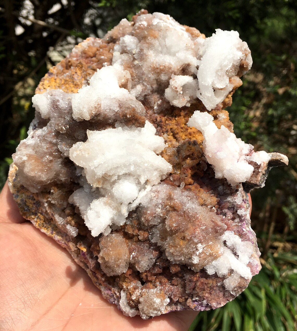 Natural large gypsum selenite on matrix/gypsum cluster/gypsum | Etsy