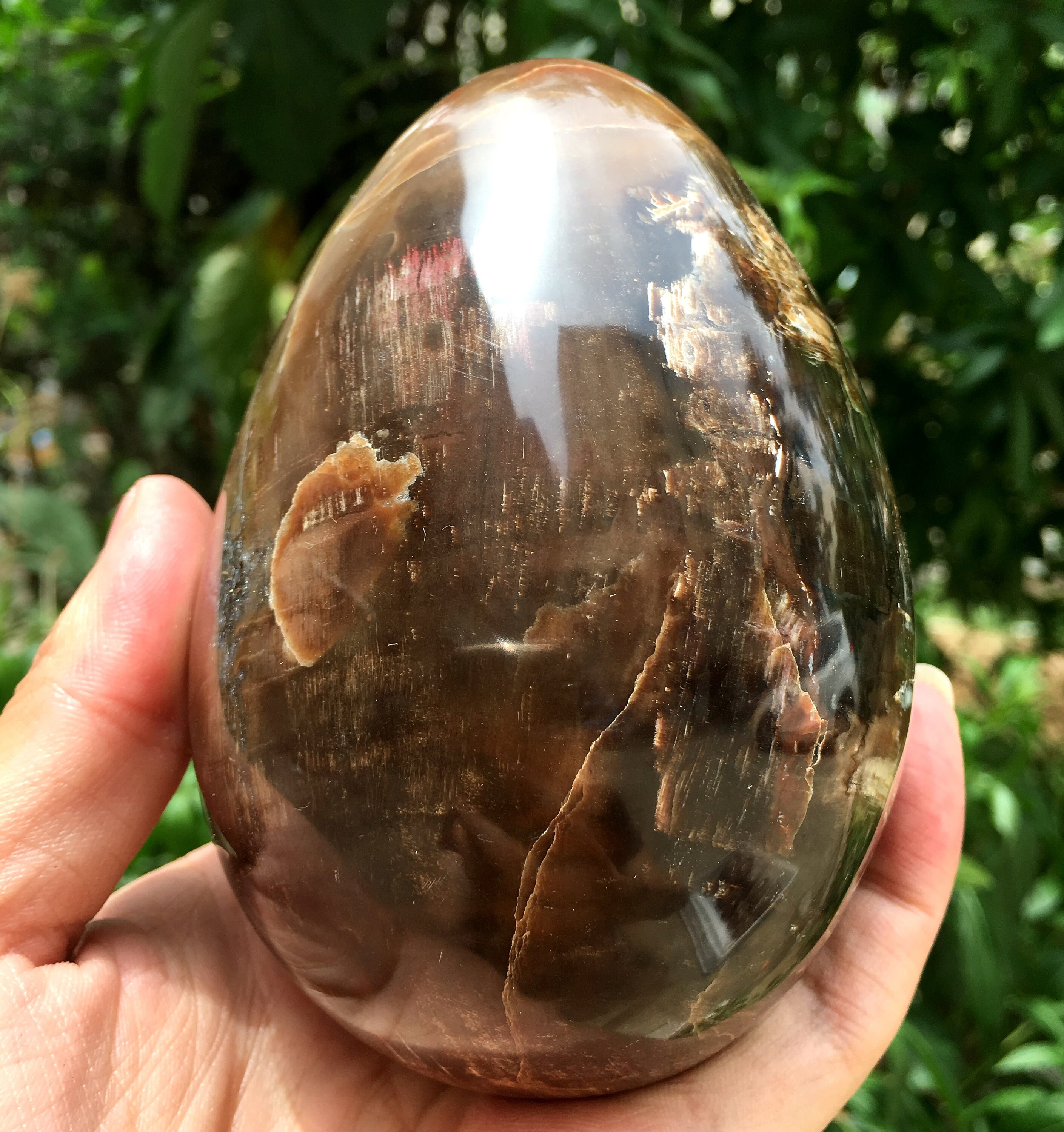 Large Petrified Wood Stone Sphere/petrified wood slice | Etsy