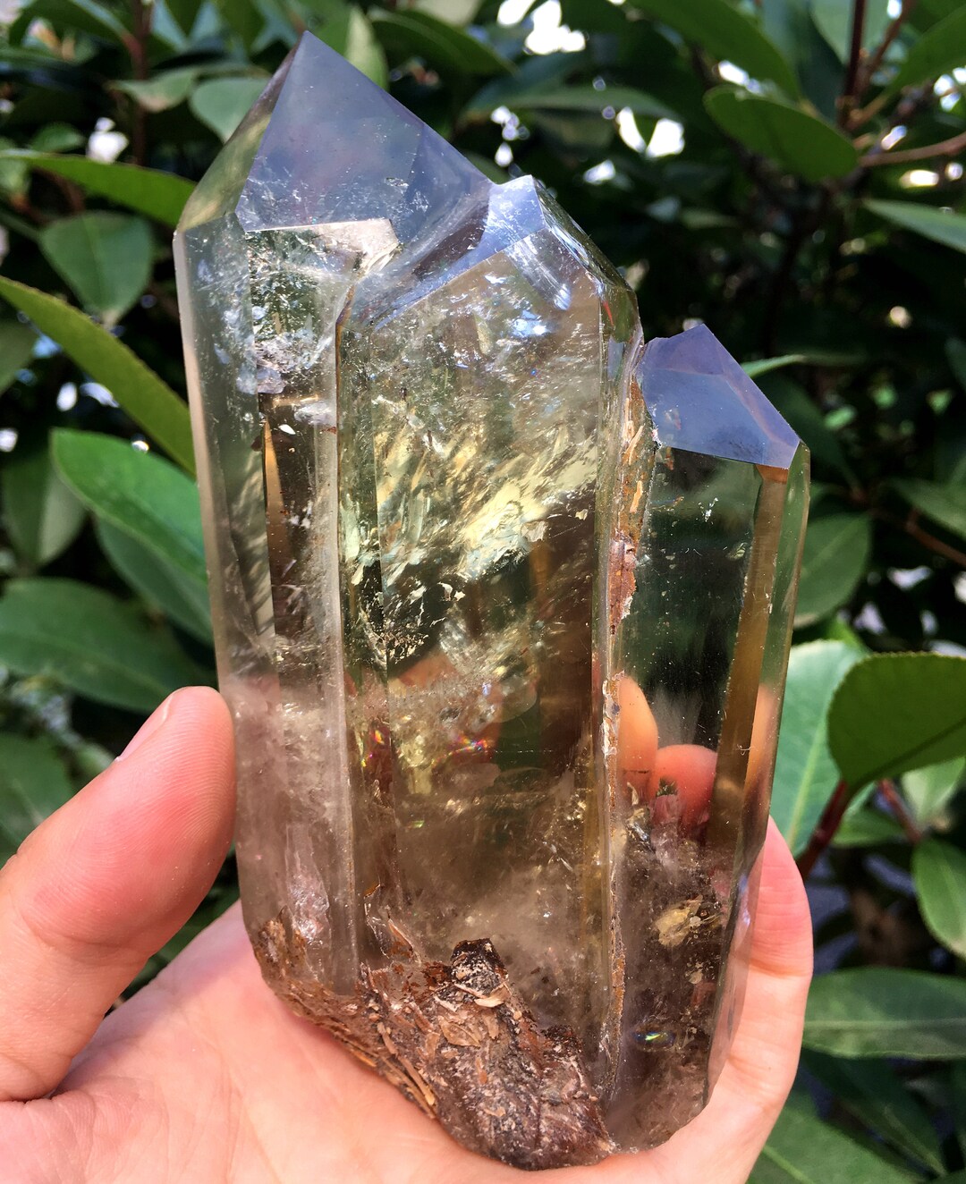 Natural Large Transparent Headed Yellow Citrine Crystal Quartz Point ...