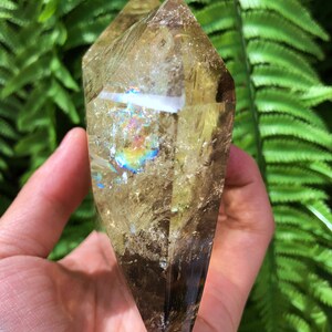 Natural Large Transparent Headed Yellow Citrine Crystal Quartz Point ...