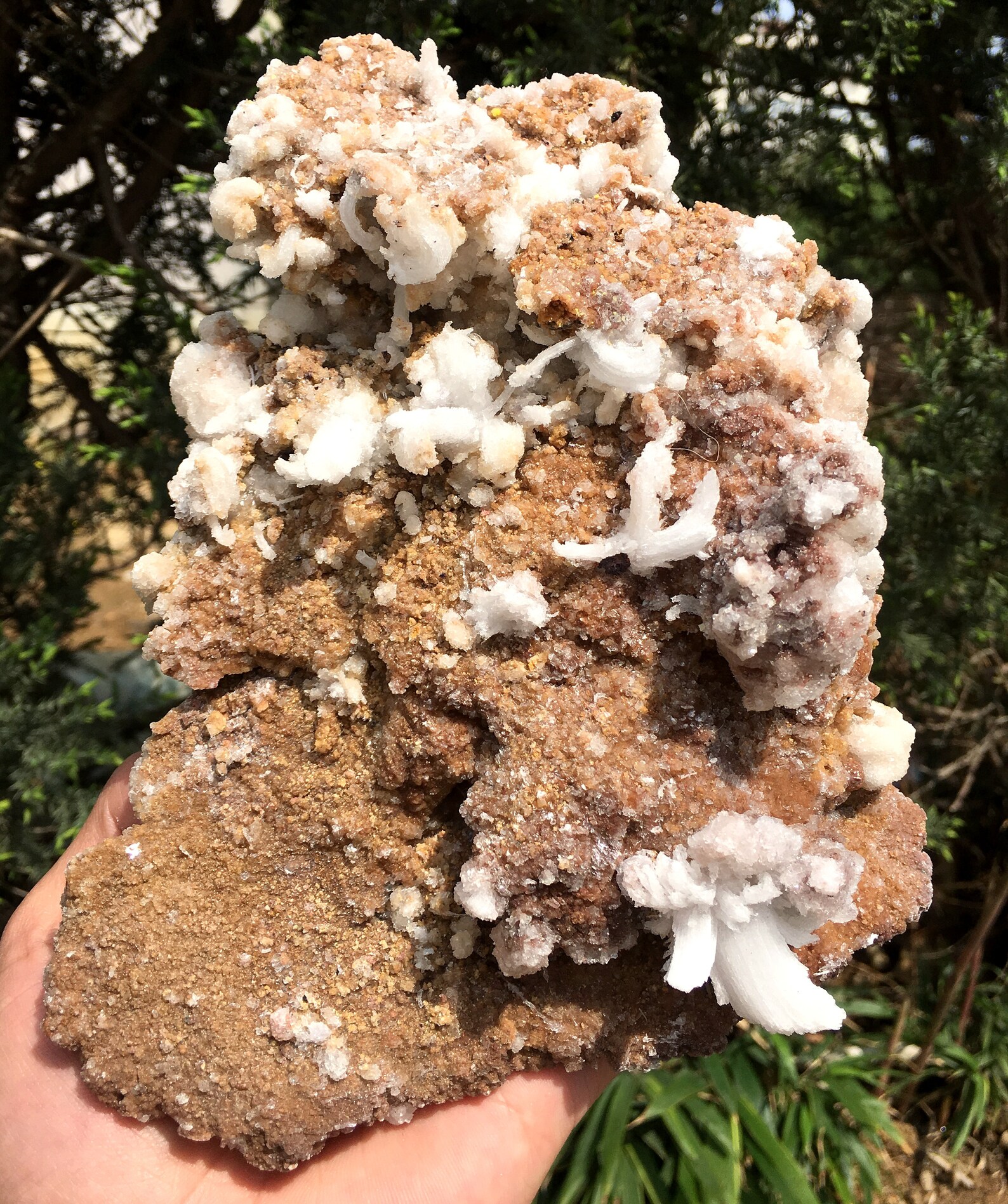 Natural large gypsum selenite on matrix/gypsum cluster/gypsum | Etsy