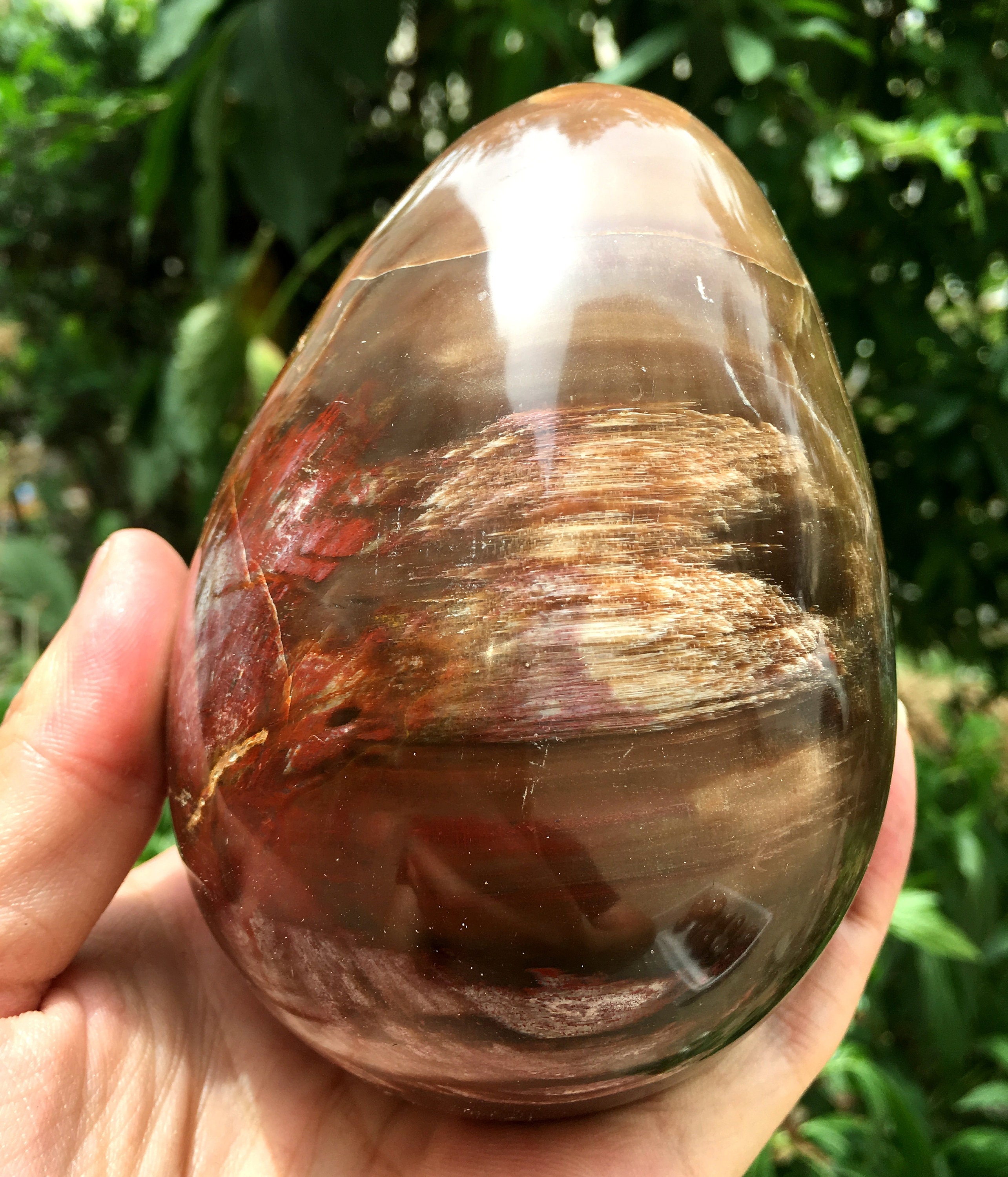 Large Petrified Wood Stone Sphere/petrified wood slice | Etsy