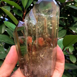 Natural Large Transparent Headed Yellow Citrine Crystal Quartz Point ...
