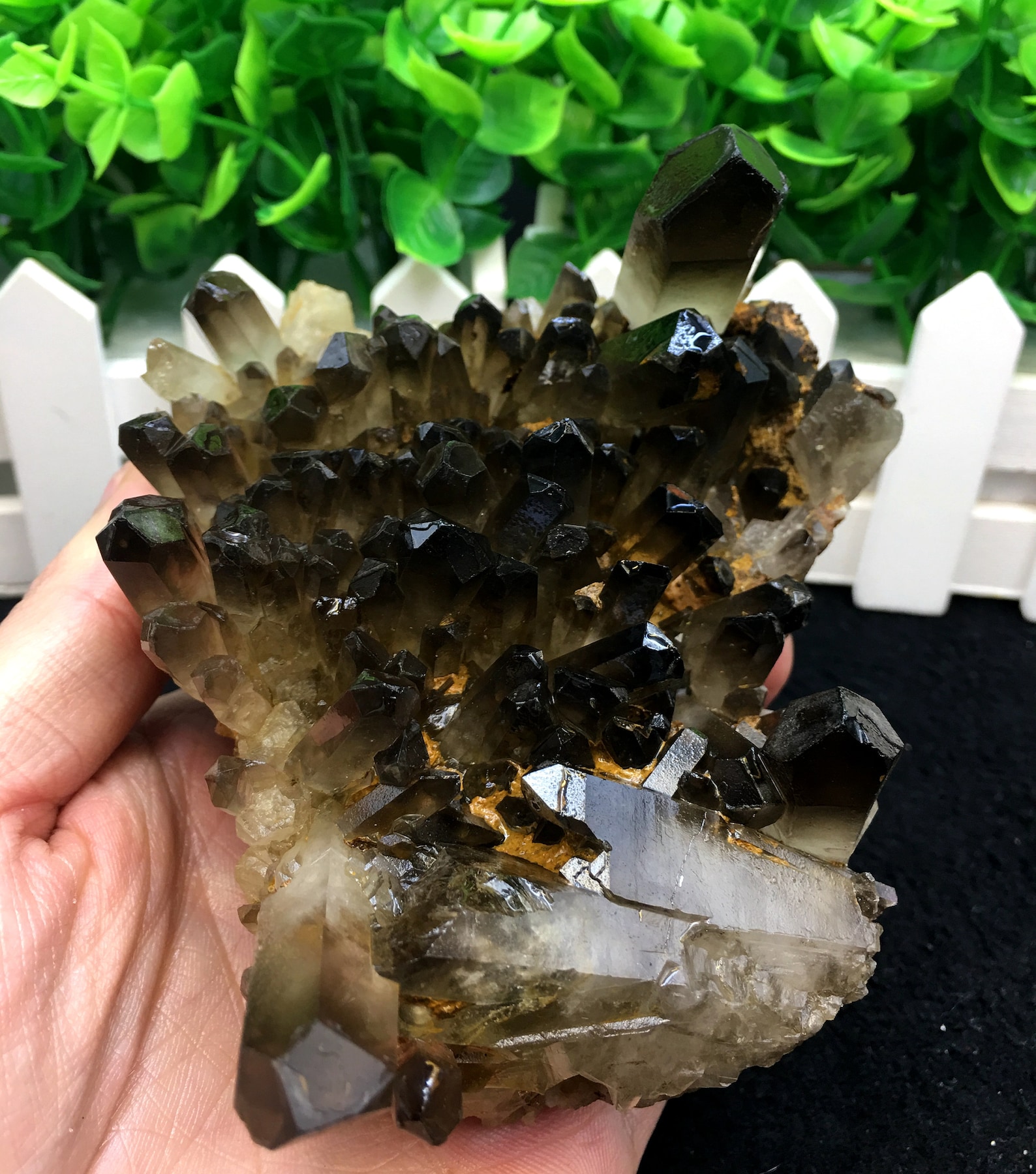 Top Large Raw Yellow Crystal Cluster/smoke Crystal - Etsy