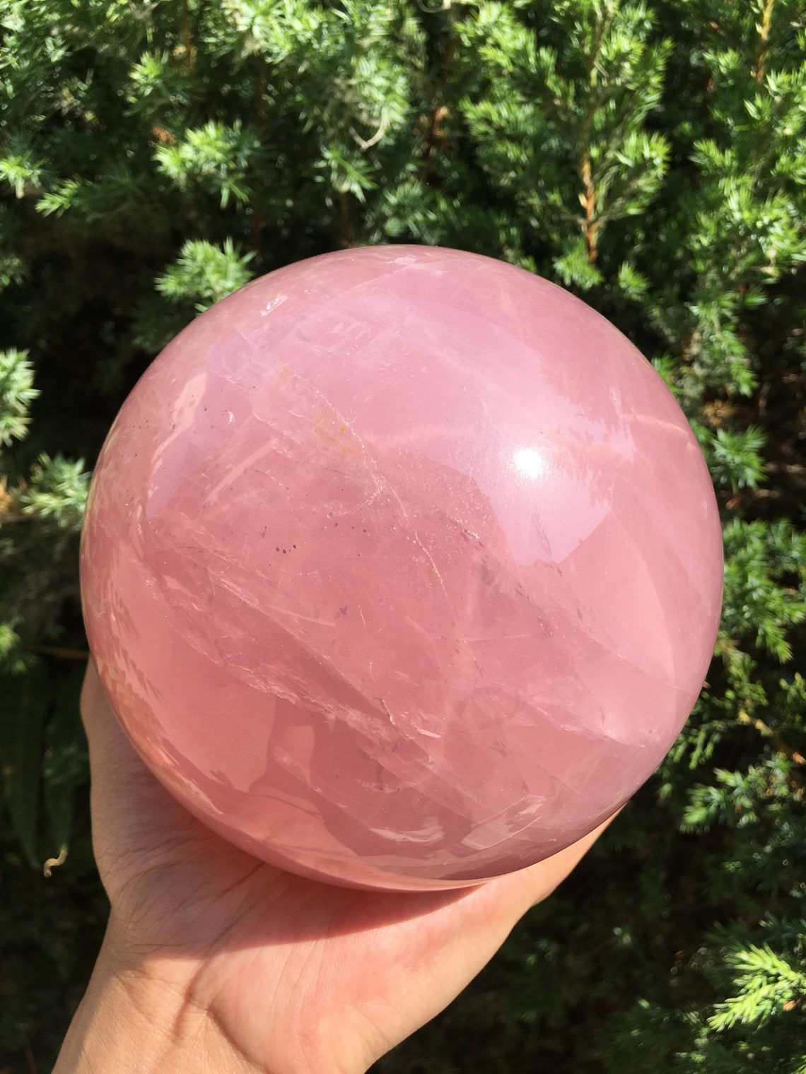 Best Rose Quartz Sphere/Rare hexagonal starlight/Rose Crystal | Etsy