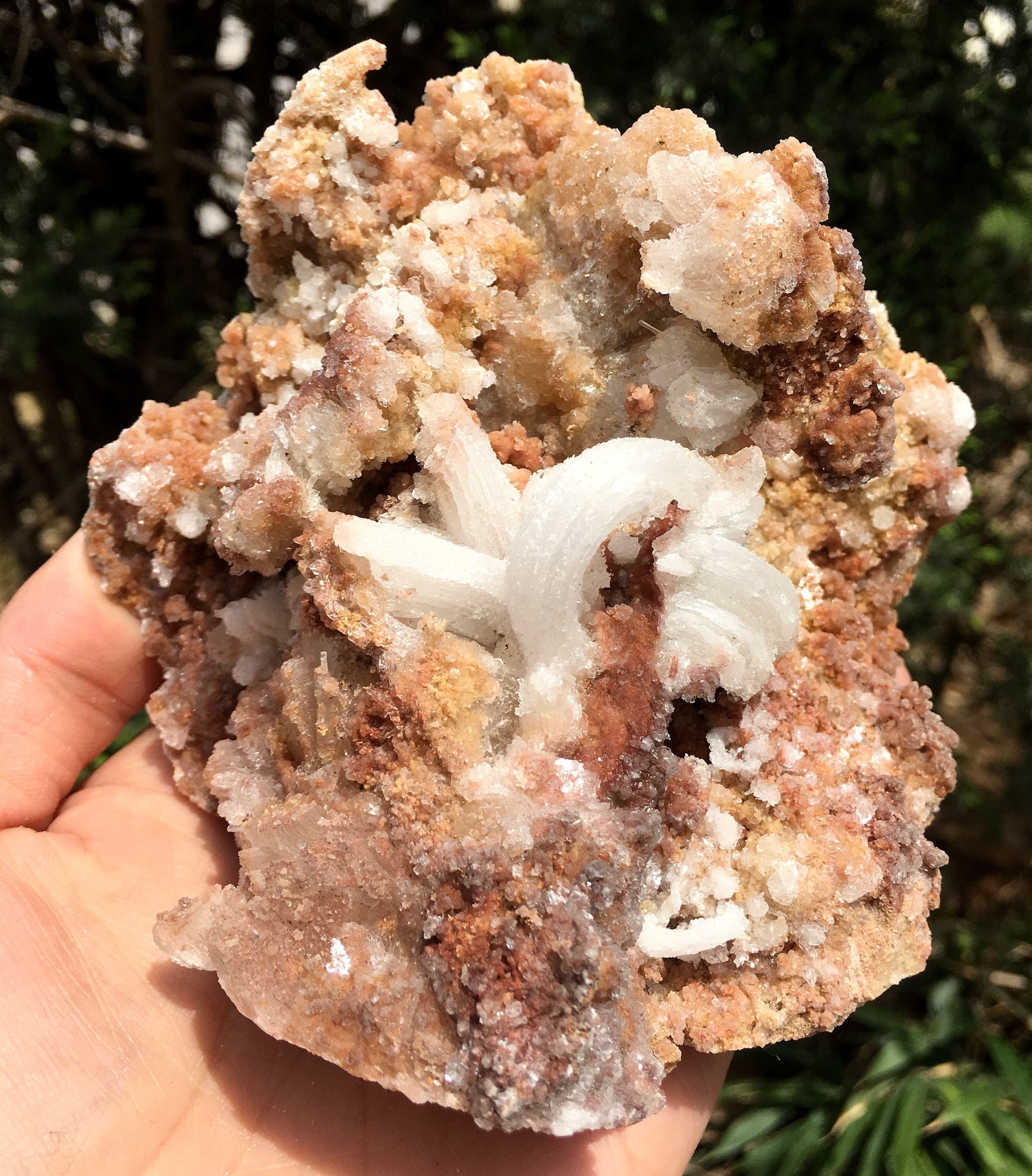 Natural large gypsum selenite on matrix/gypsum cluster/gypsum | Etsy