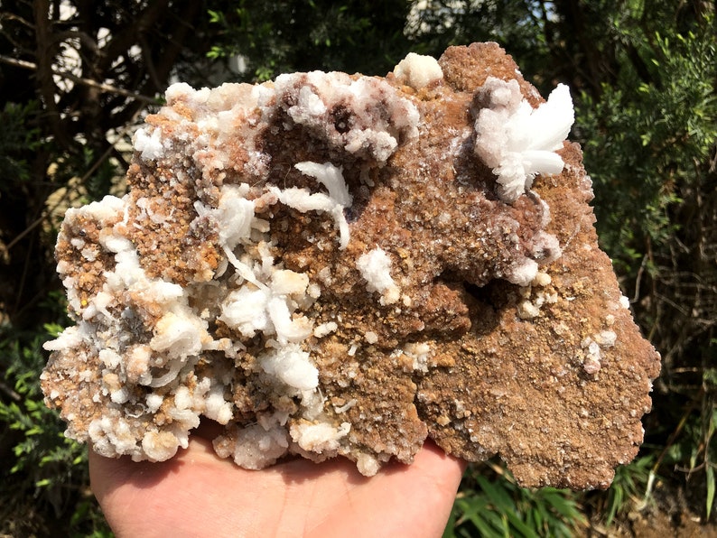 Natural Large Gypsum Selenite on Matrix/gypsum Cluster/gypsum - Etsy