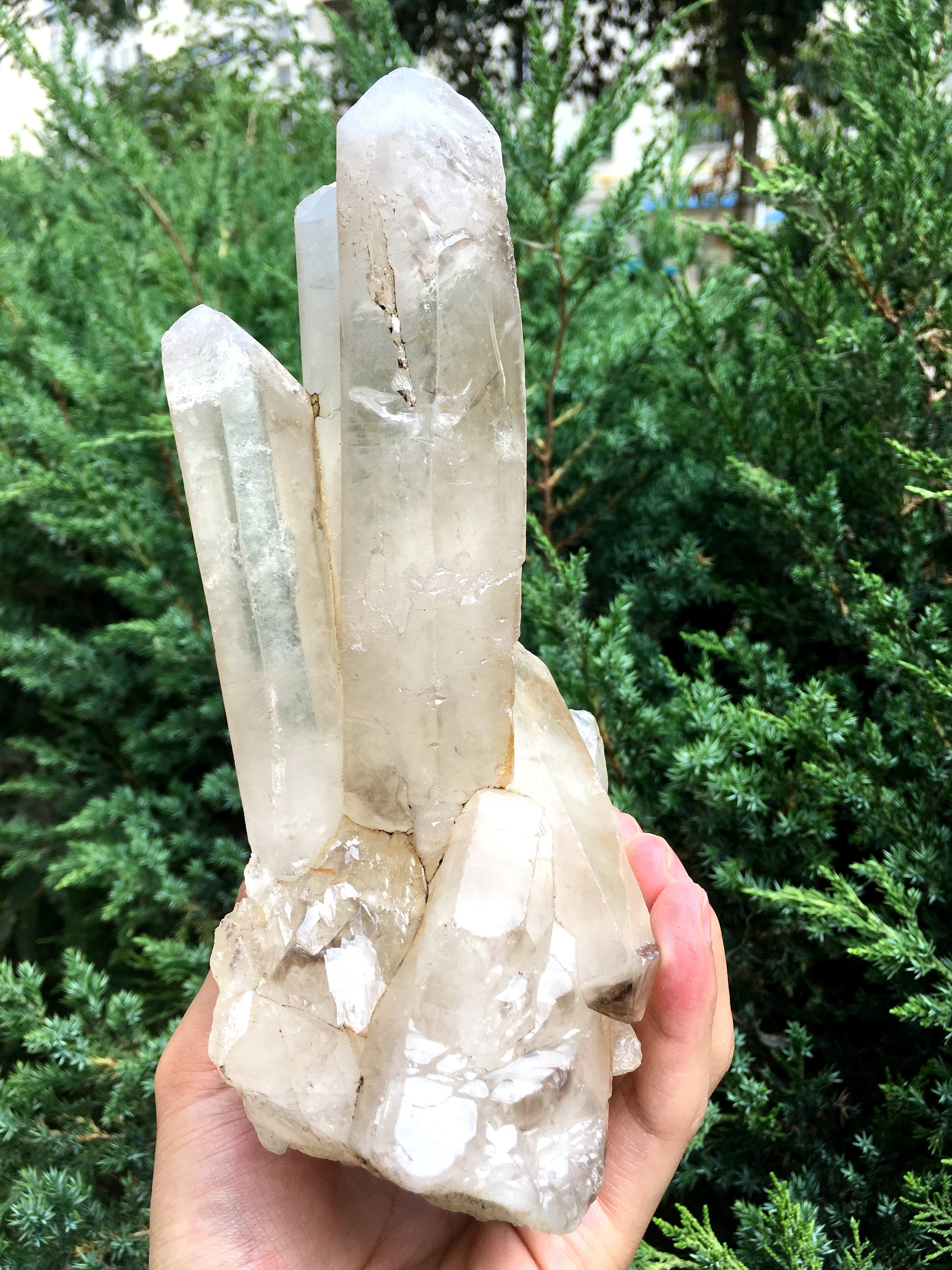 LARGE Natural Skeleton Crystal/contain Inside Rabbit Hair - Etsy UK