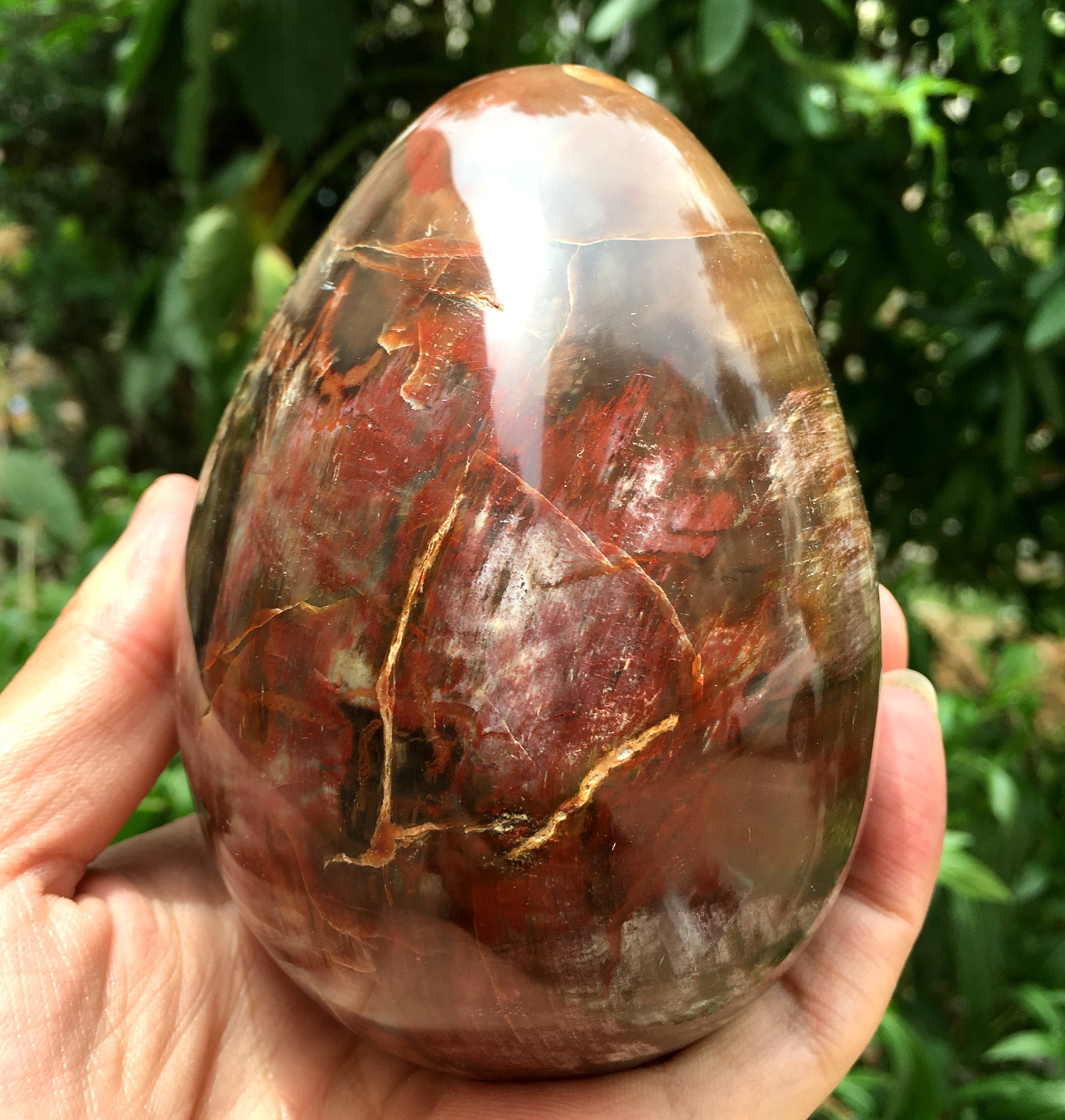 Large Petrified Wood Stone Sphere/petrified wood slice | Etsy