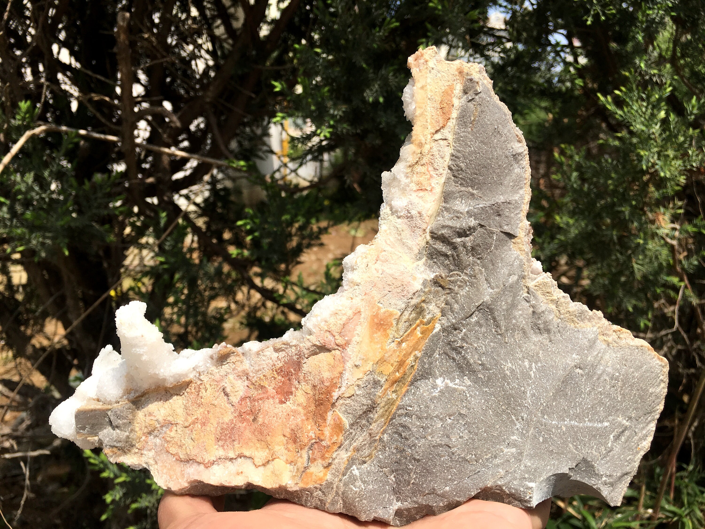 Natural large gypsum selenite on matrix/gypsum cluster/gypsum | Etsy