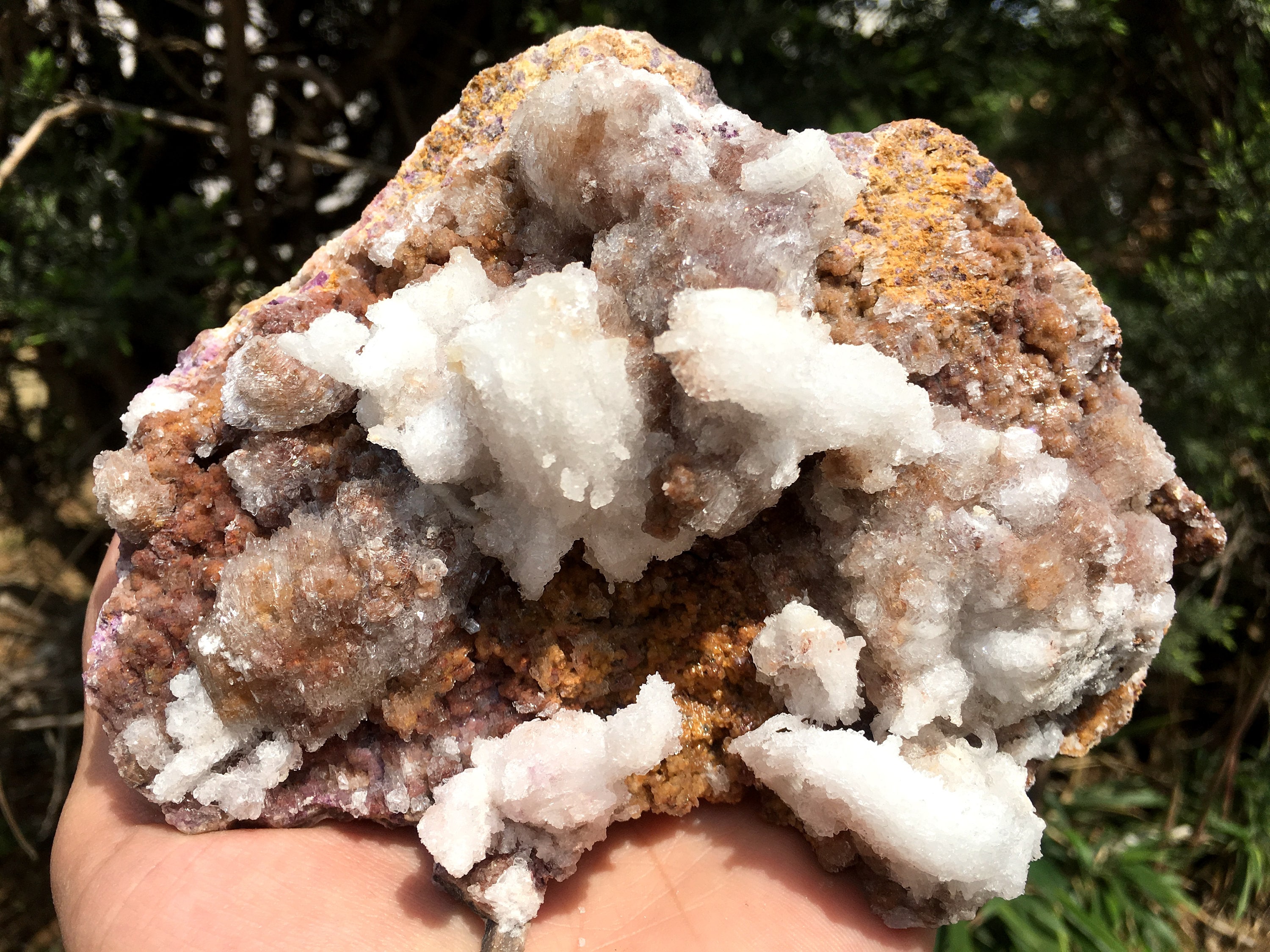 Natural large gypsum selenite on matrix/gypsum cluster/gypsum | Etsy