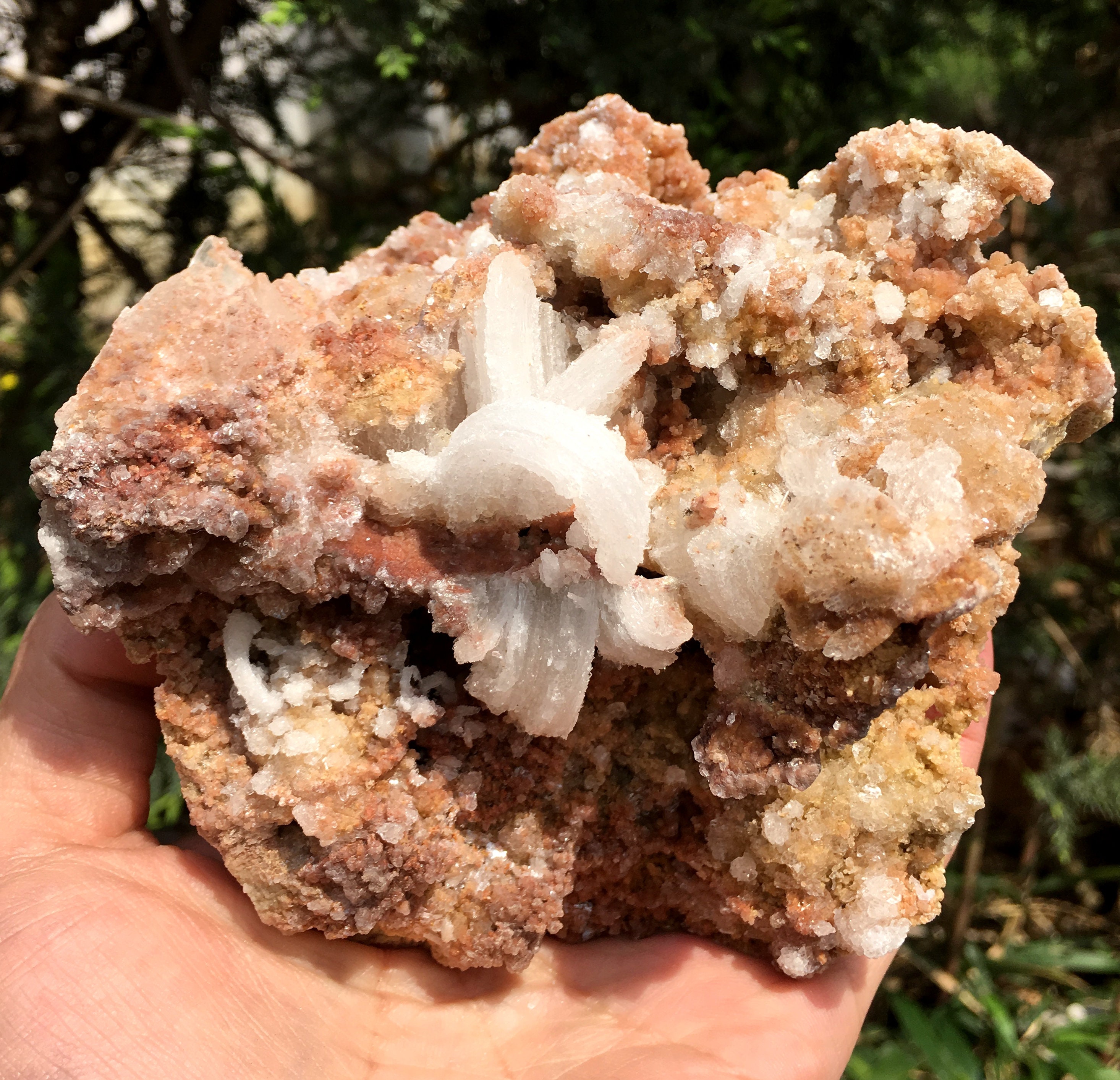 Natural large gypsum selenite on matrix/gypsum cluster/gypsum | Etsy