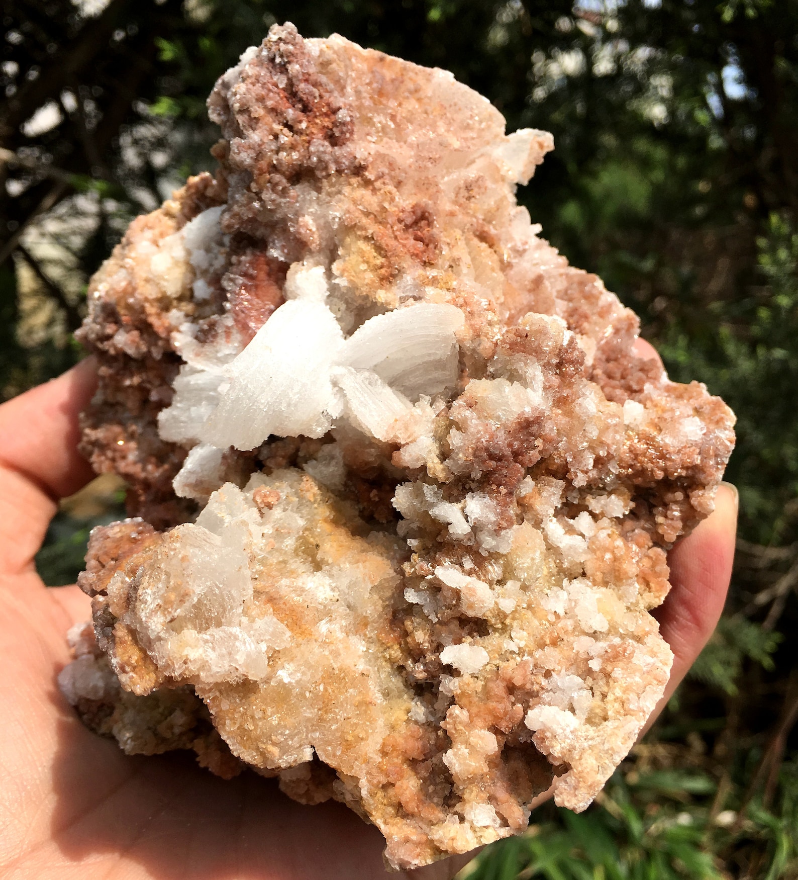 Natural Large Gypsum Selenite on Matrix/gypsum Cluster/gypsum - Etsy