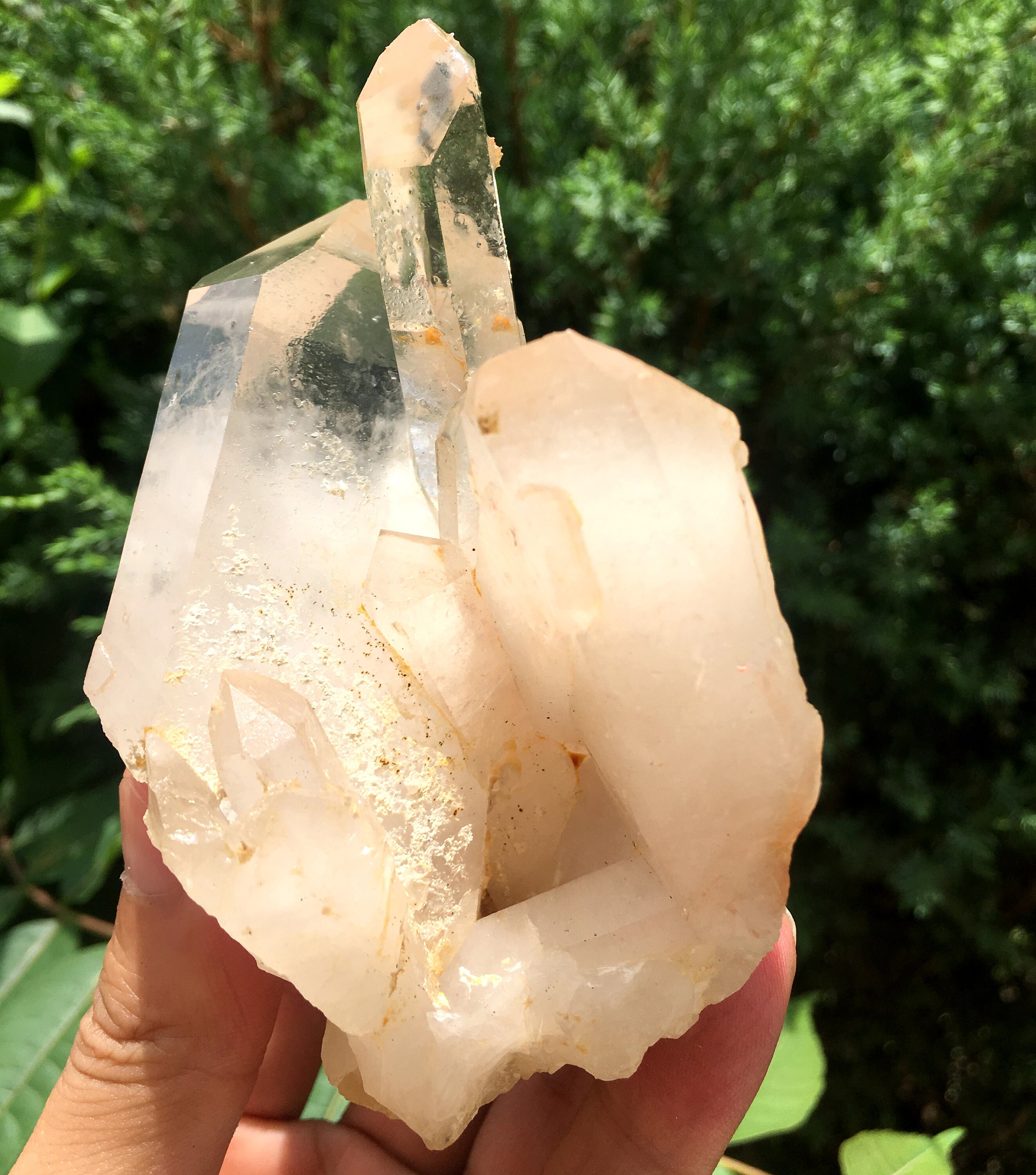 Natural Raw Himalayan Family Crystal Quartz Point/white Abundance ...