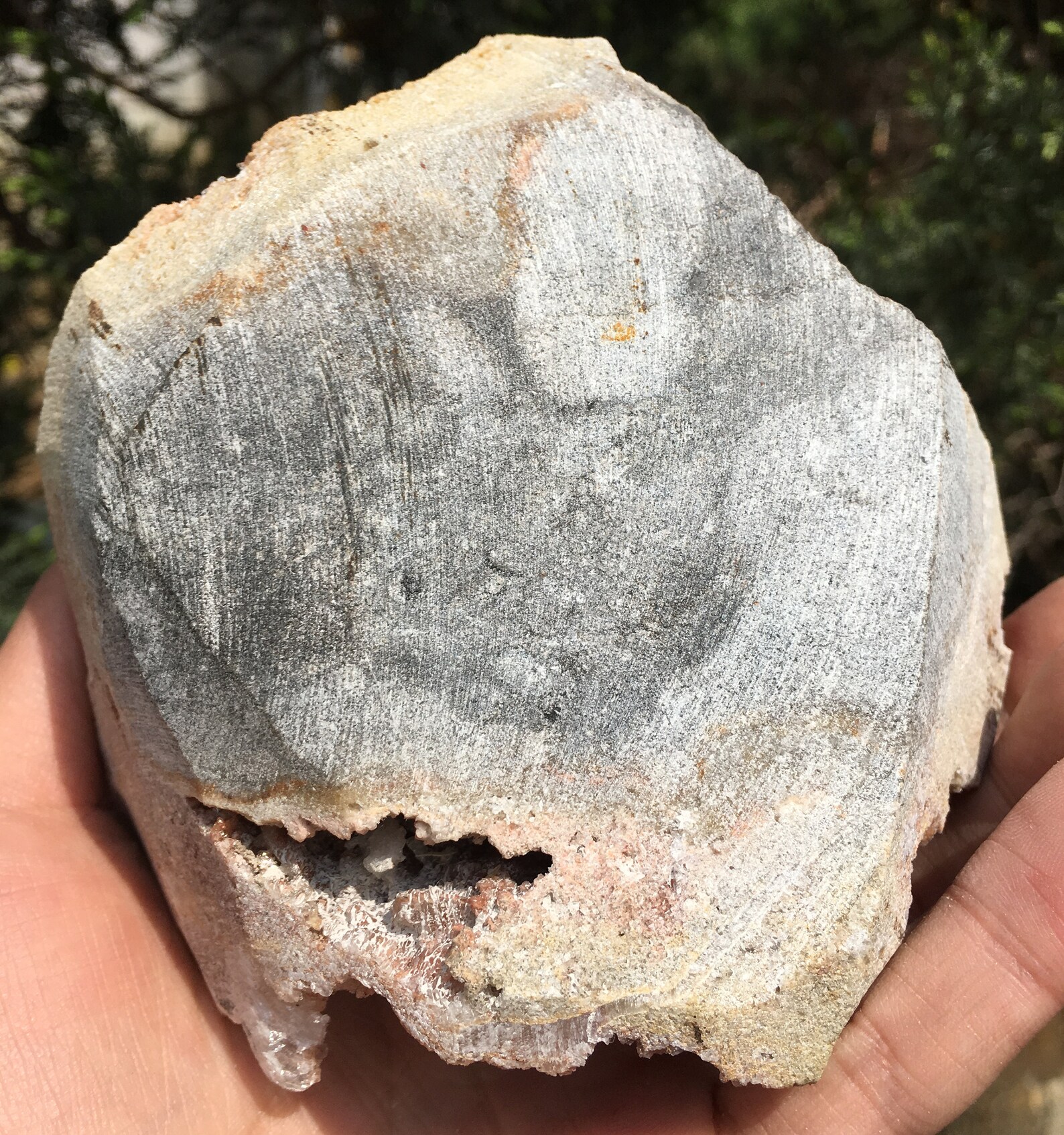 Natural Large Gypsum Selenite on Matrix/gypsum Cluster/gypsum Specimen ...