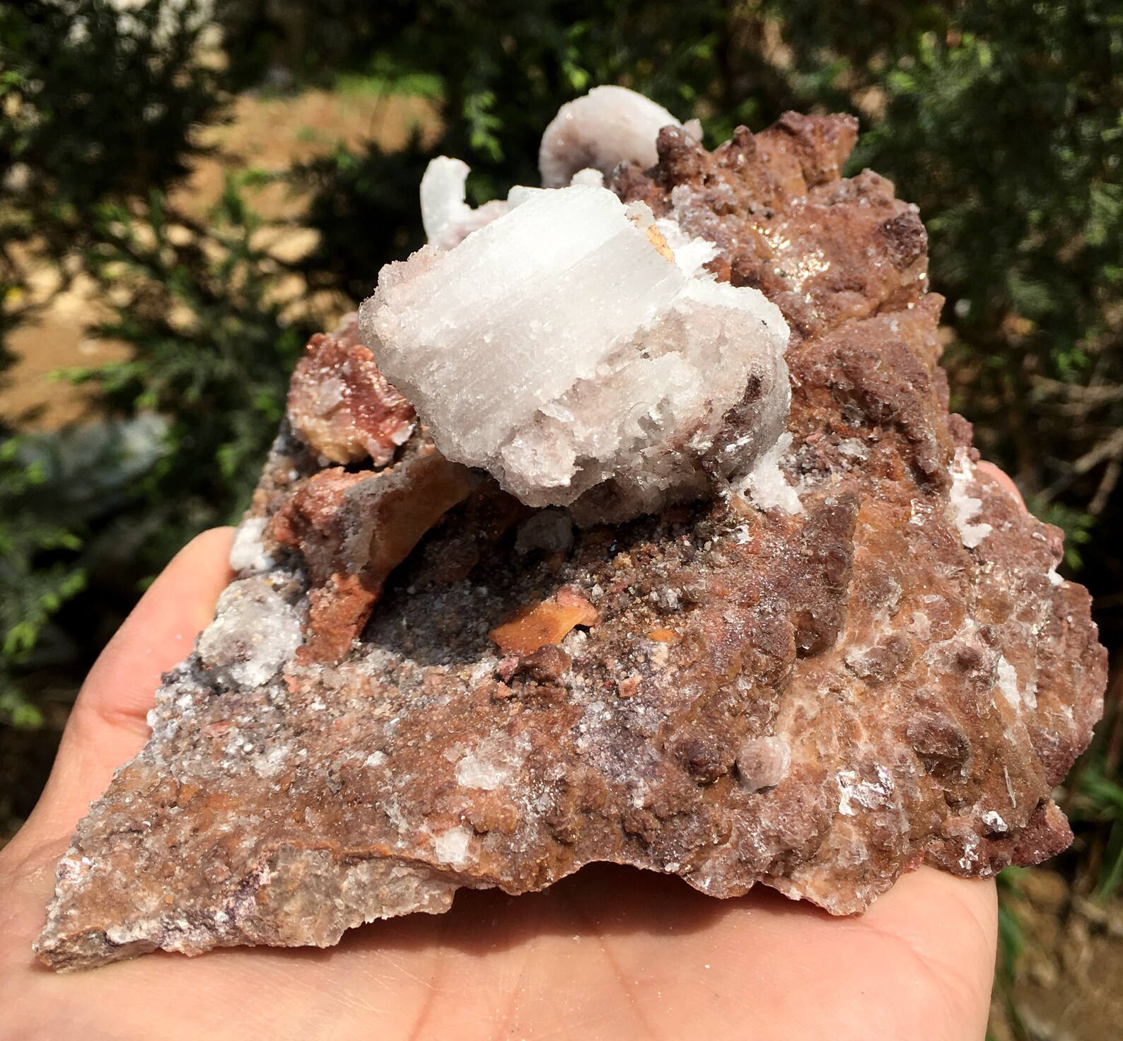 Natural Large Gypsum Selenite on Matrix/gypsum Cluster/gypsum | Etsy