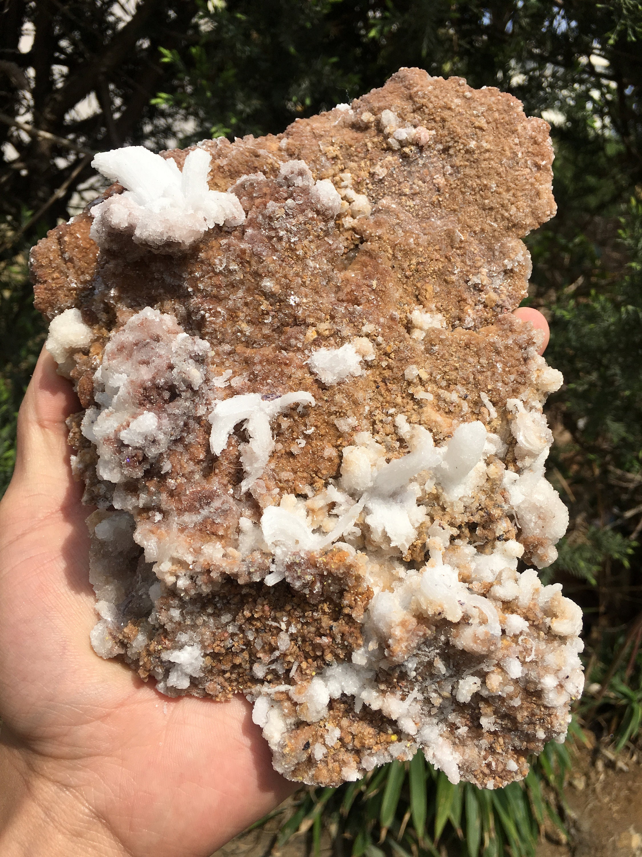 Natural large gypsum selenite on matrix/gypsum cluster/gypsum | Etsy