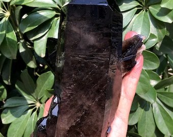 Top Large Raw Smoke Crystal Cluster/black Quartz Cluster/quartz Cluster ...
