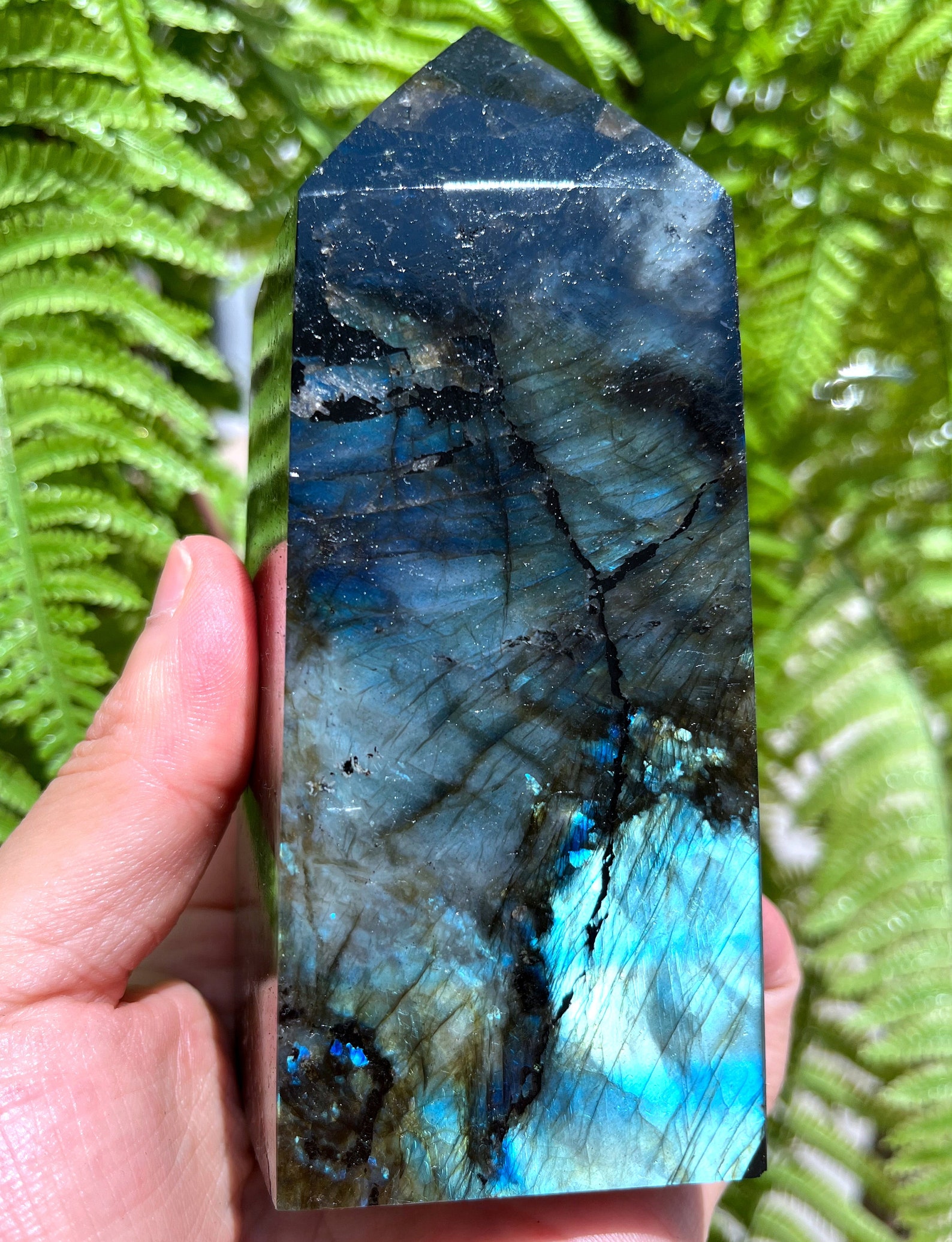 Extra Large Labradorite /shiny Polished Labradorite /jewelry/chakra ...