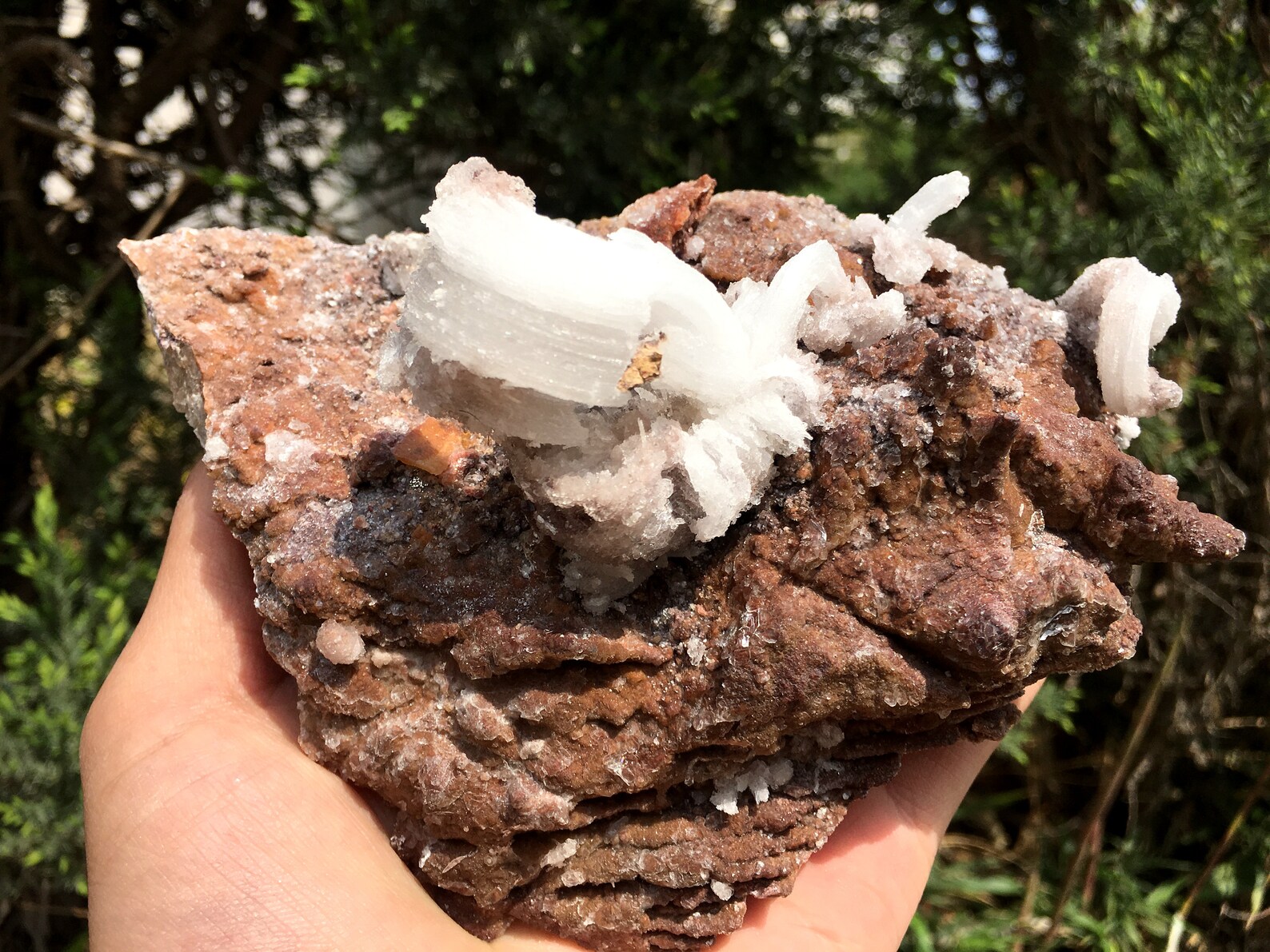 Natural Large Gypsum Selenite on Matrix/gypsum Cluster/gypsum | Etsy