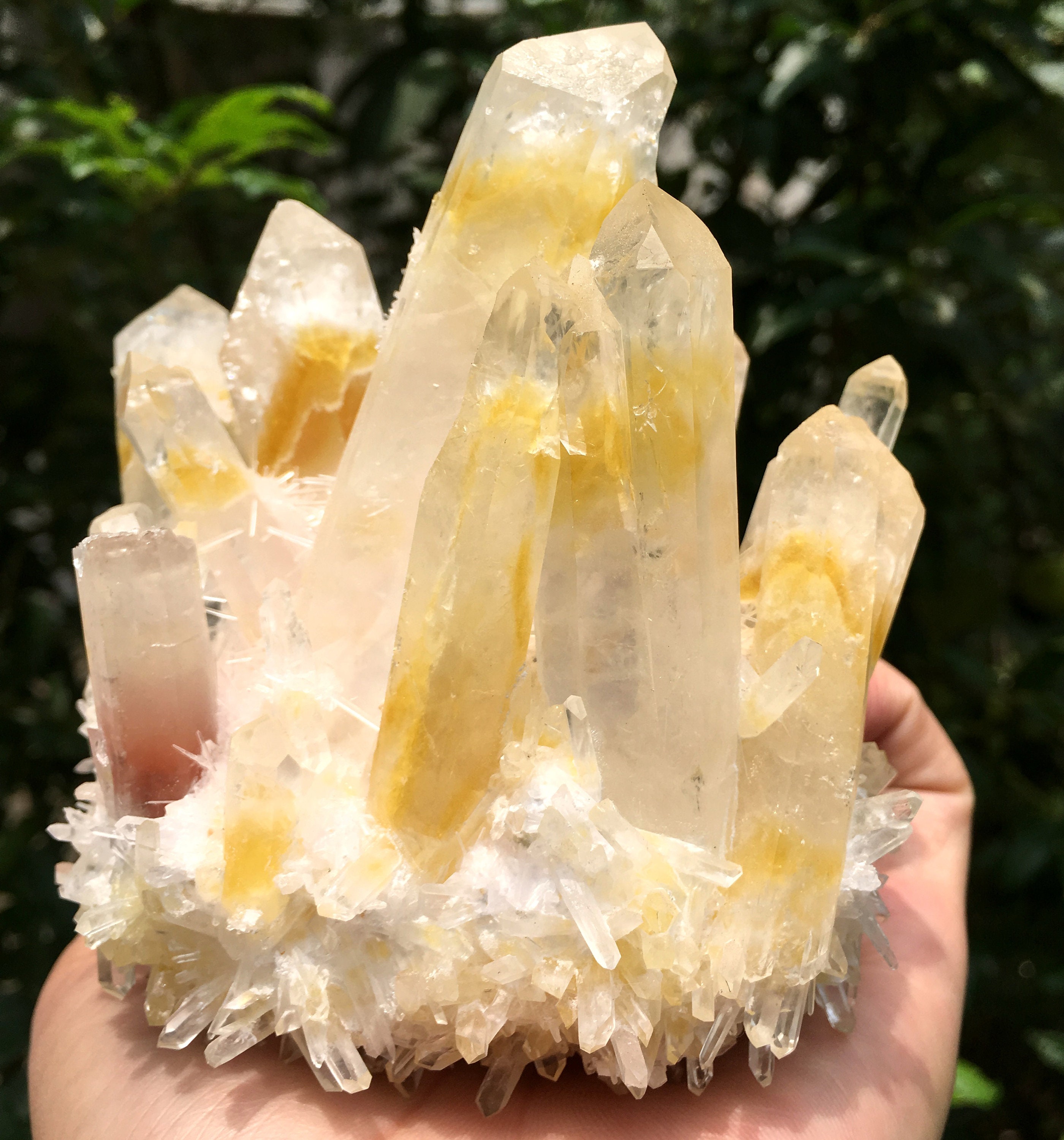 Angel Aura Quartz Himalaya Clear Abundance Quartz | Etsy