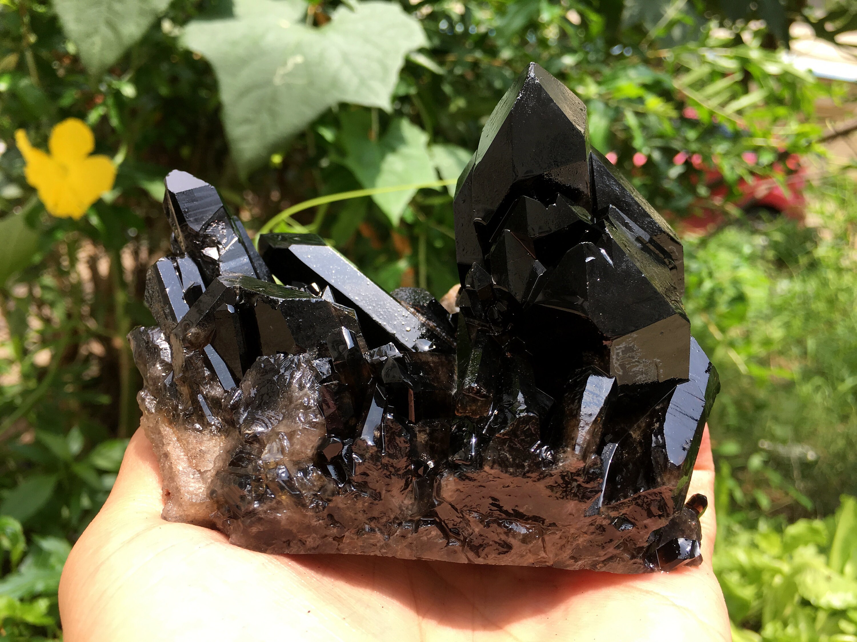 Top Large Raw black Crystal Cluster/Black Quartz | Etsy