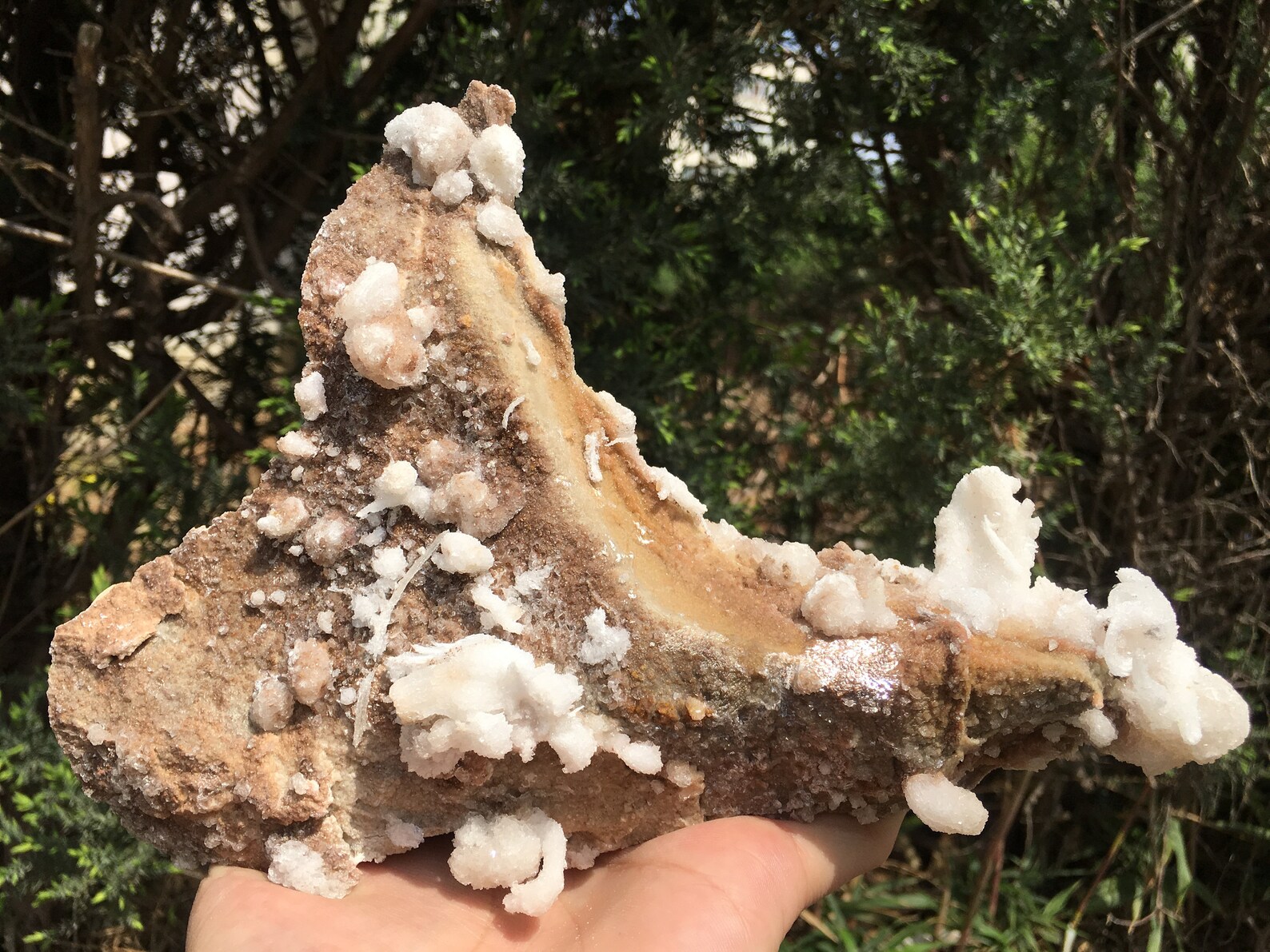 Natural Large Gypsum Selenite on Matrix/gypsum Cluster/gypsum - Etsy