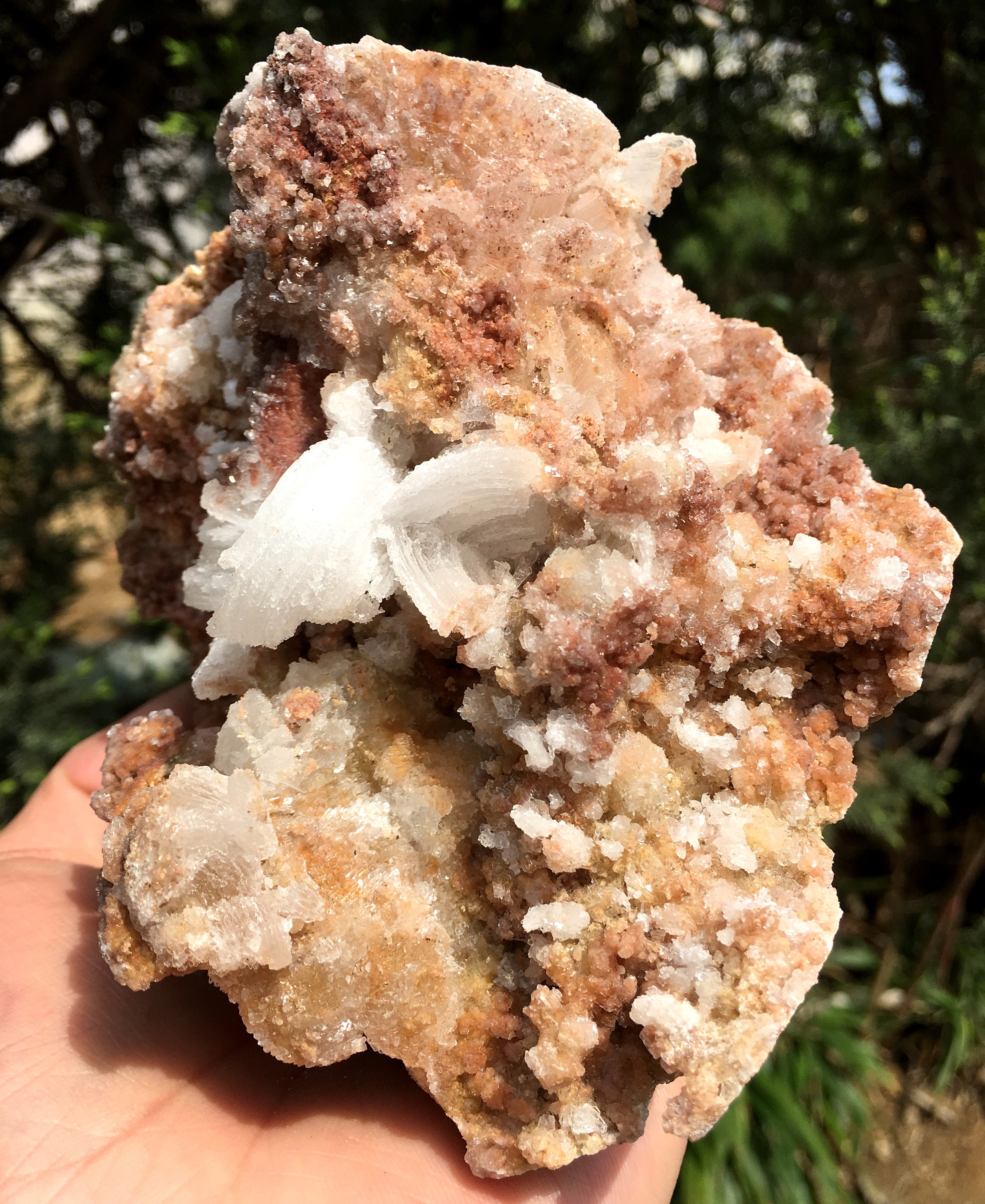 Natural large gypsum selenite on matrix/gypsum cluster/gypsum | Etsy