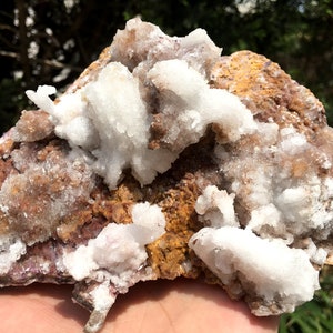 Natural Large Gypsum Selenite on Matrix/gypsum Cluster/gypsum Specimen ...