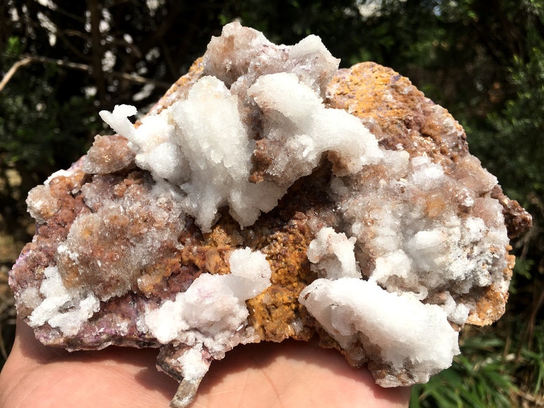 Natural Large Gypsum Selenite on Matrix/gypsum Cluster/gypsum - Etsy