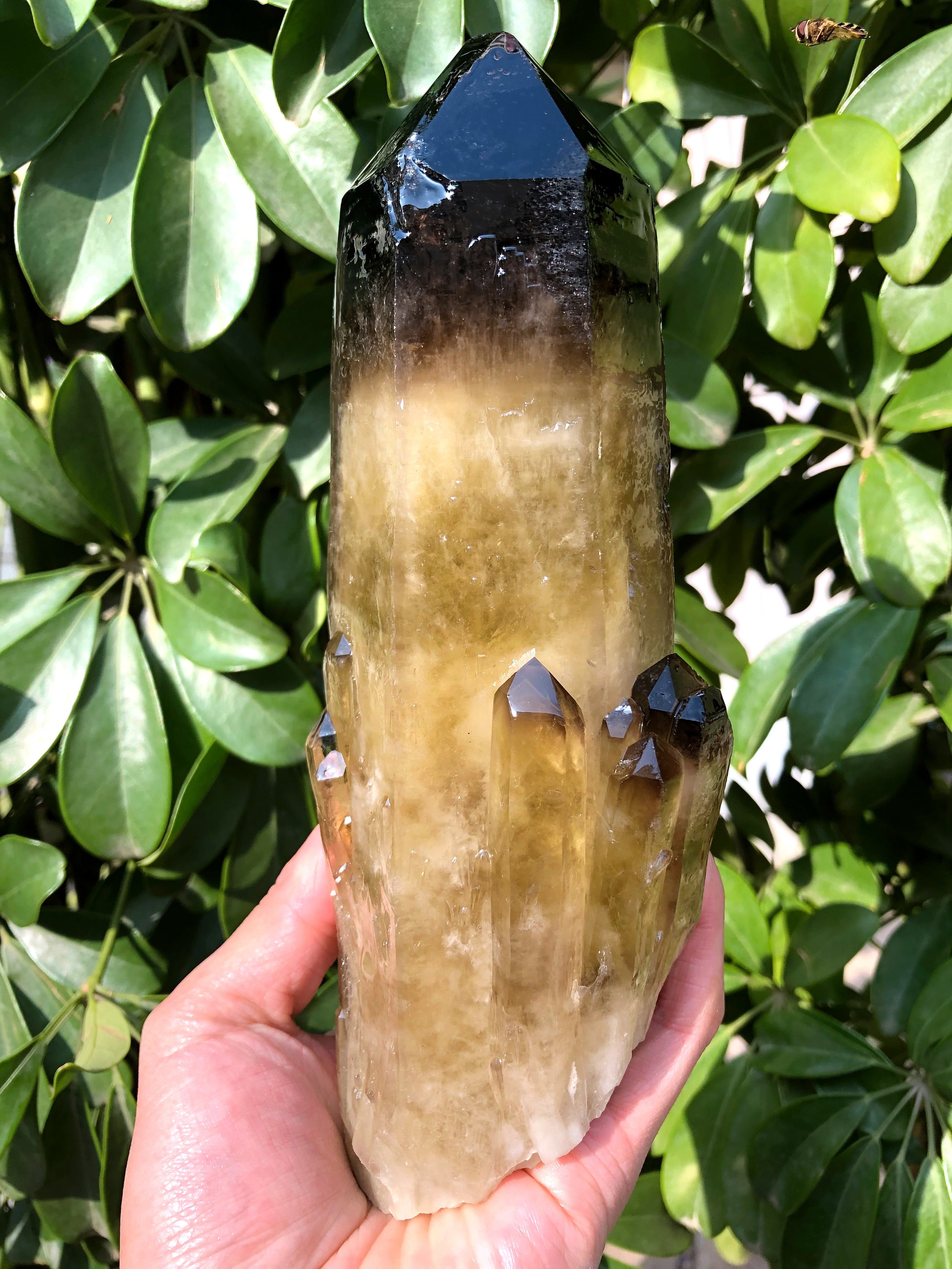 Large Raw White Crystal + Yellow Crystal Cluster/black Quartz Cluster ...