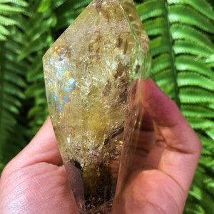 Natural Large Transparent Headed Yellow Citrine Crystal Quartz Point ...