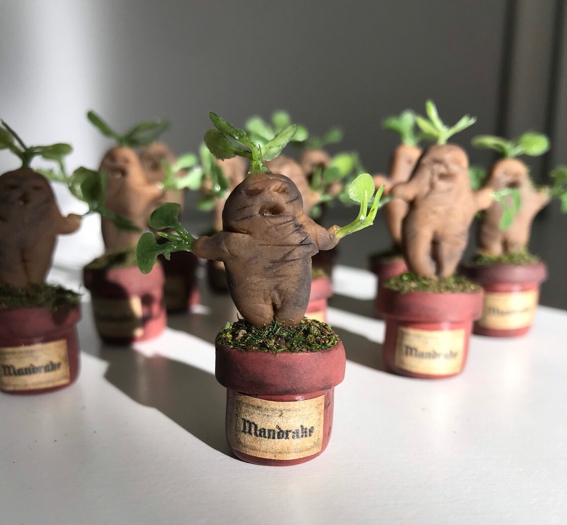 Baby Mandragora Miniature Caution - Etsy