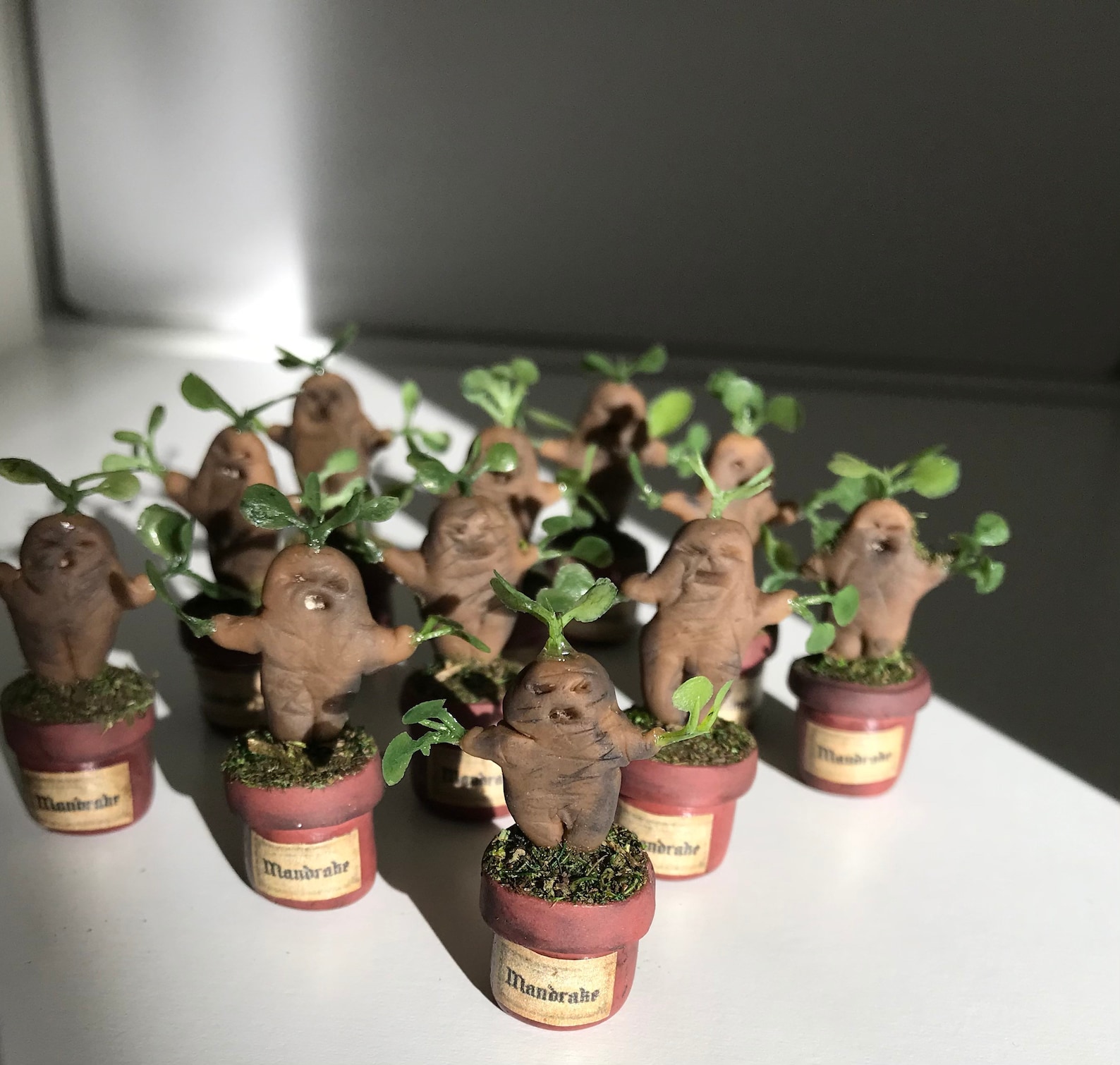 Baby Mandragora Miniature Caution - Etsy Hong Kong