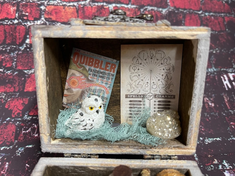 Wizards Potion Chest Apothecary Chest - Etsy