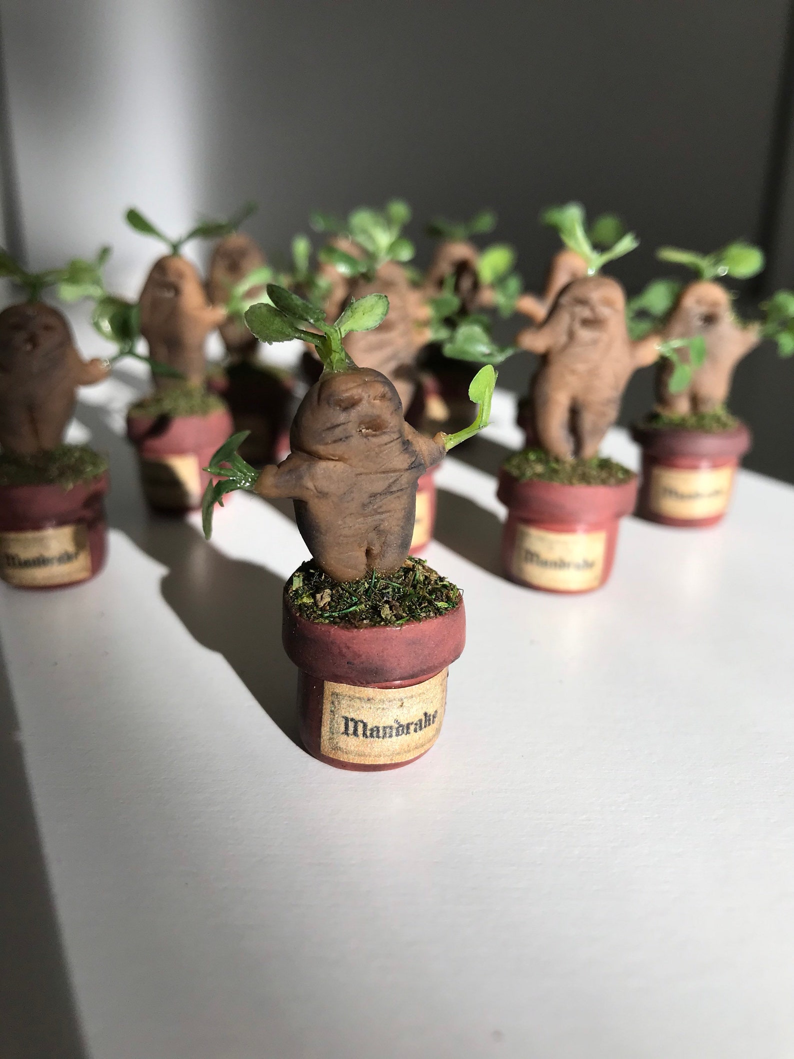 Baby Mandragora Miniature Caution - Etsy