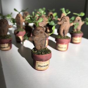 Baby Mandragora!! Miniature!! Caution!! - Etsy