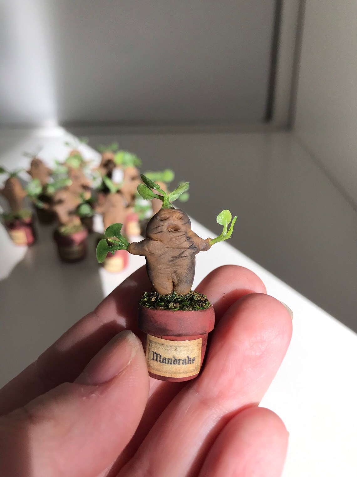Baby Mandragora Miniature Caution - Etsy