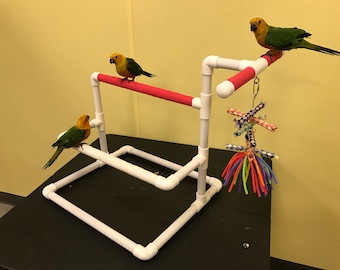 Bird play gym | Etsy
