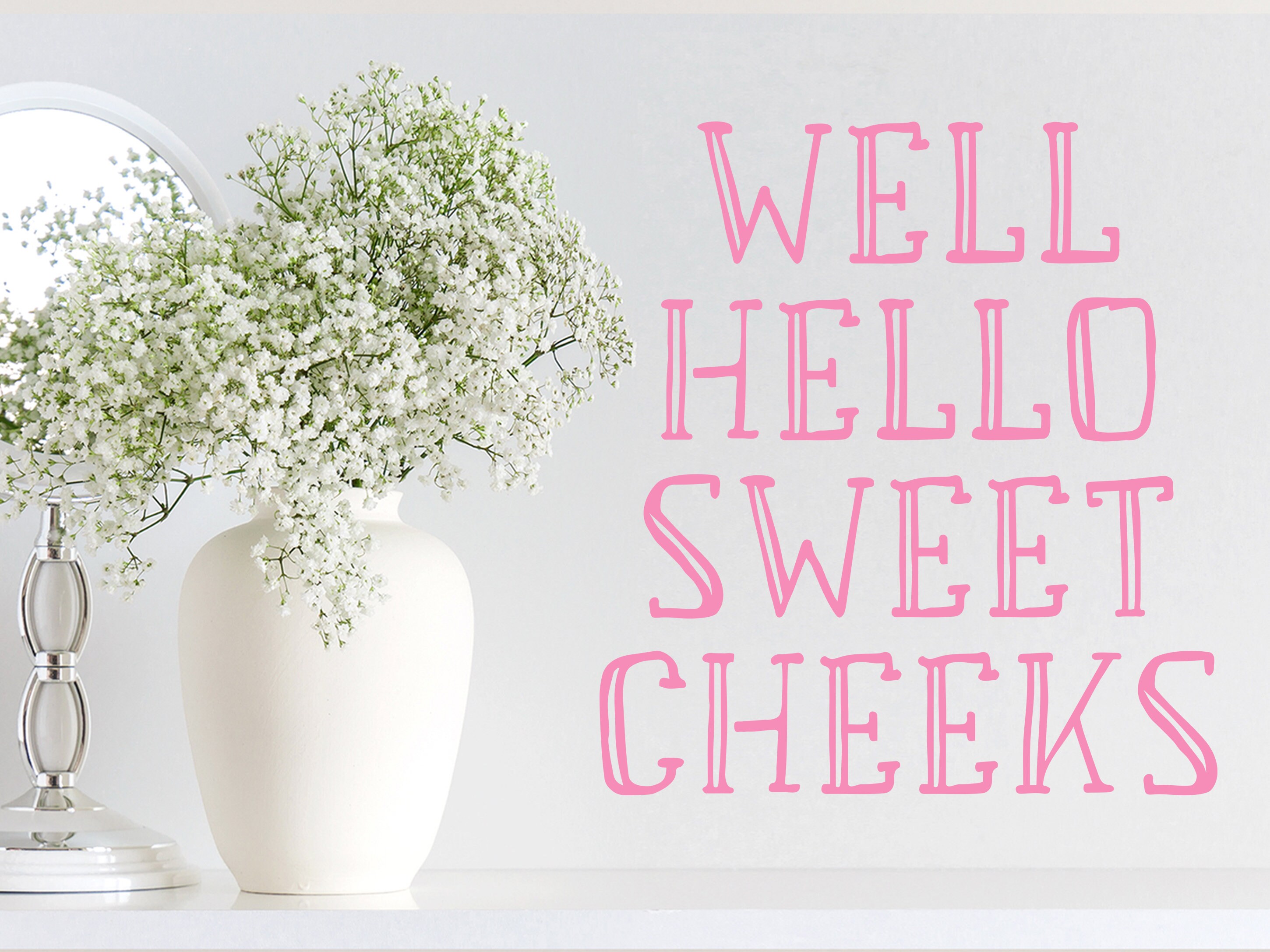 Well Hello Sweet Cheeks Wall Decal Mirror Decal Mirror | Etsy