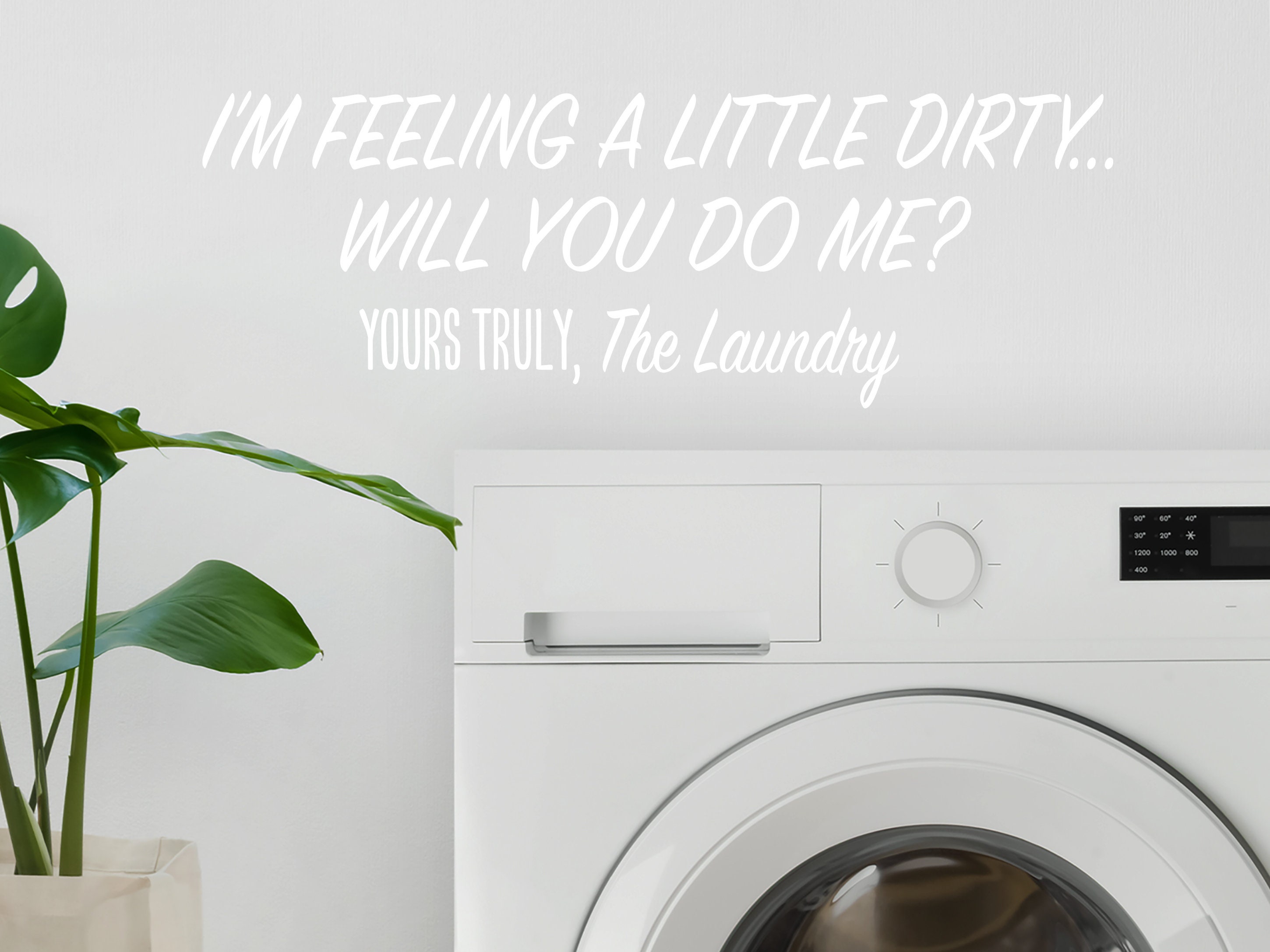 I'm Feeling Dirty Will You Do Me Yours Truly the Laundry - Etsy