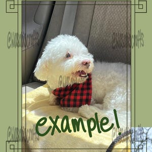 Custom Cute Green Lock/home Screen Bundle - Etsy