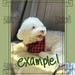 Custom Cute Green Lock/home Screen Bundle - Etsy