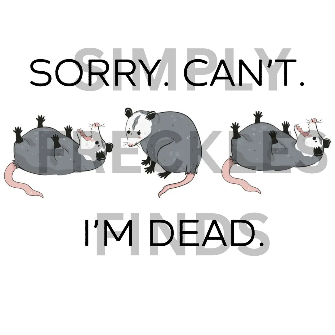Sorry Can't I'm Dead Possum O'possum Funny Ready to Press Sublimation ...
